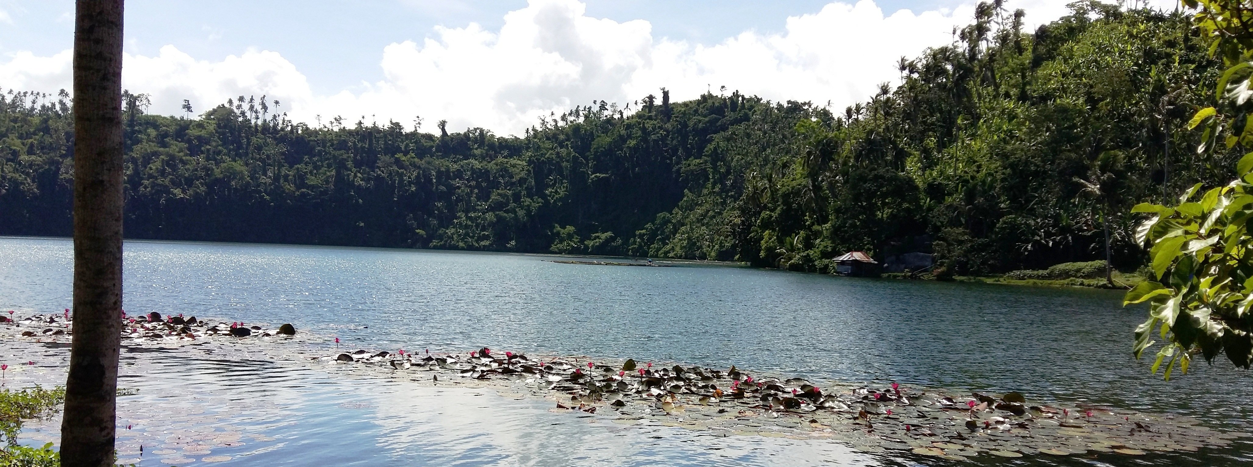 lake, Nature, Water, Landscape Wallpapers HD / Desktop and Mobile ...