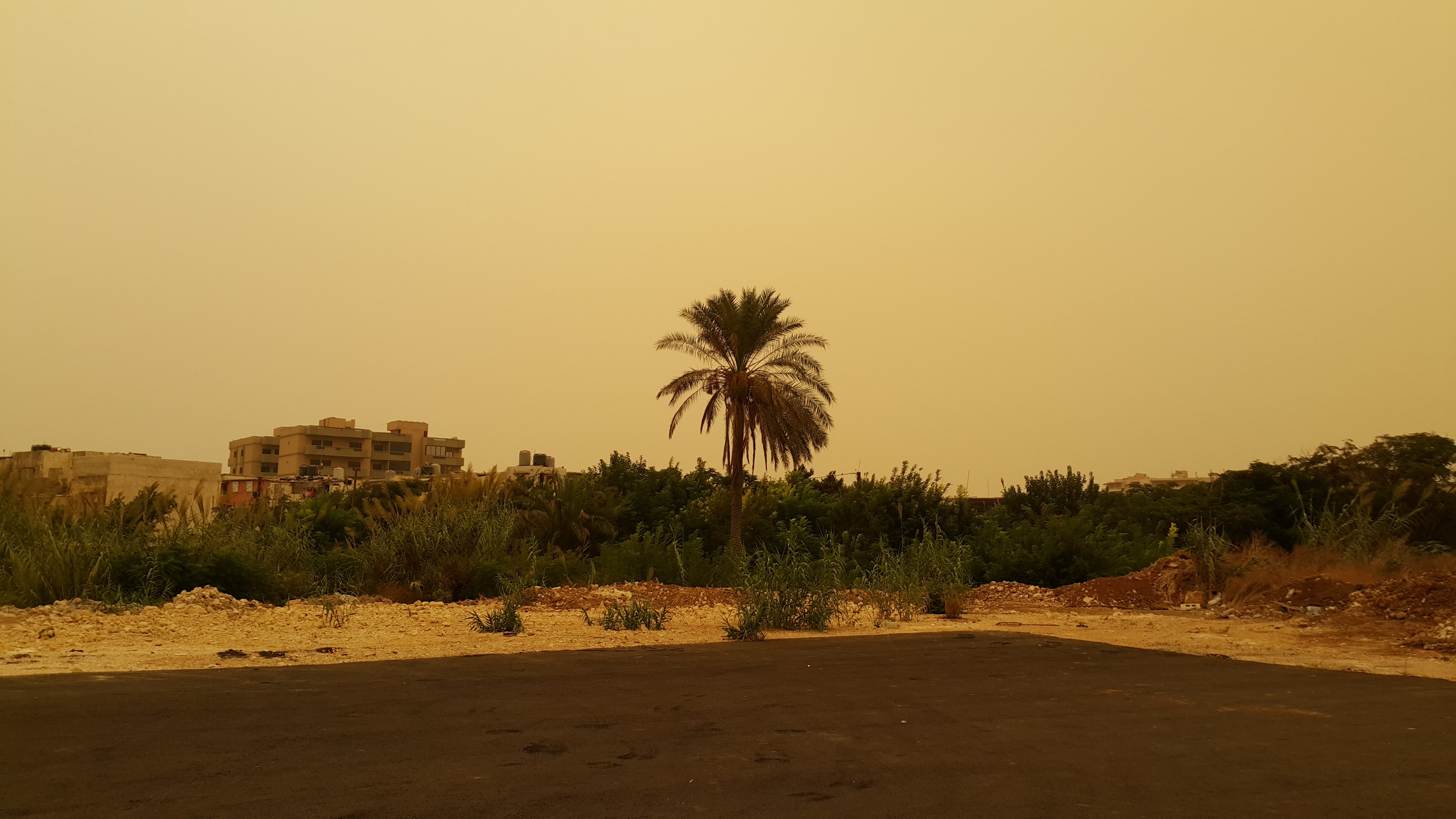 sand, Storm Wallpapers HD / Desktop and Mobile Backgrounds