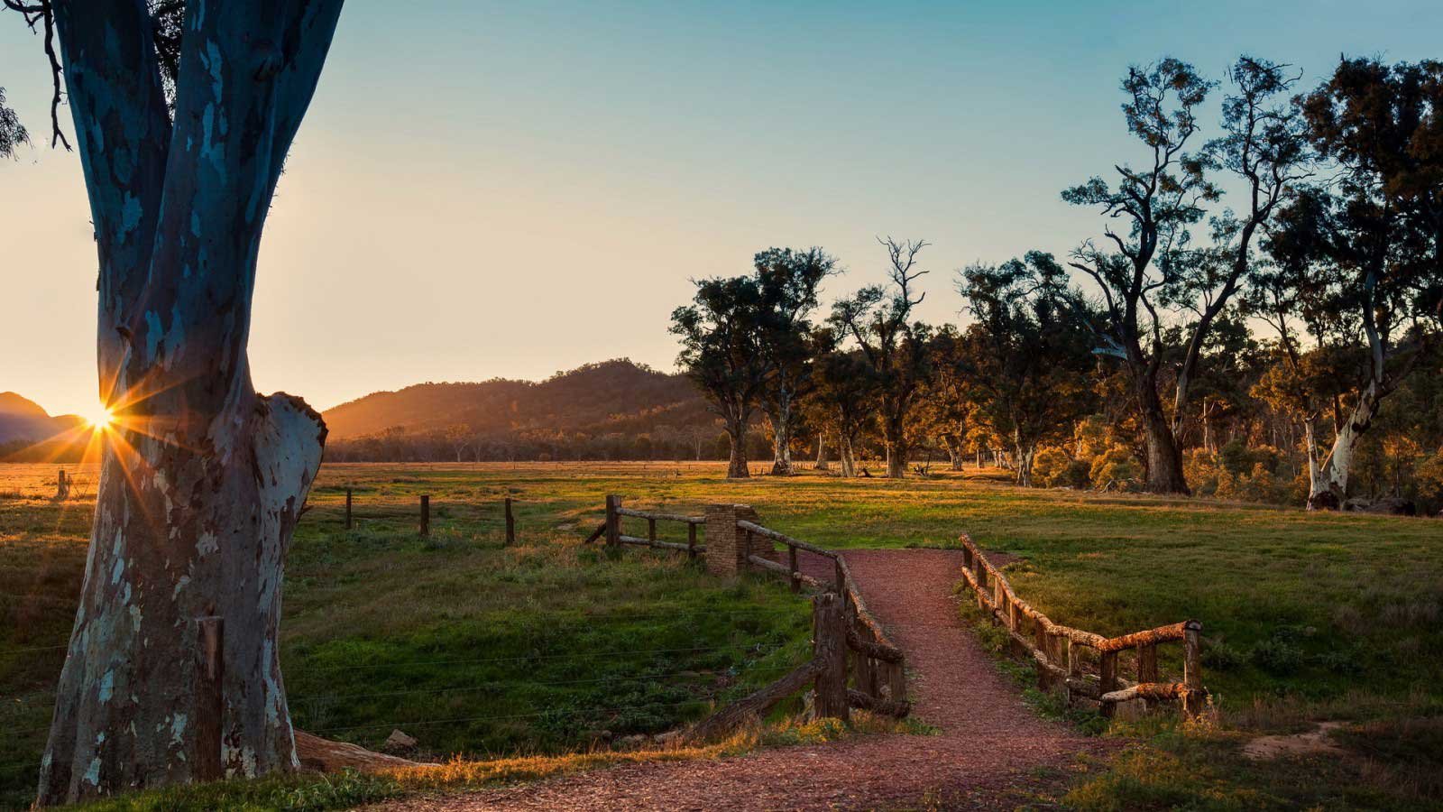 amazing, Beautiful, Landscape, Nature, Sky, Clouds, Sunset, Tree ...