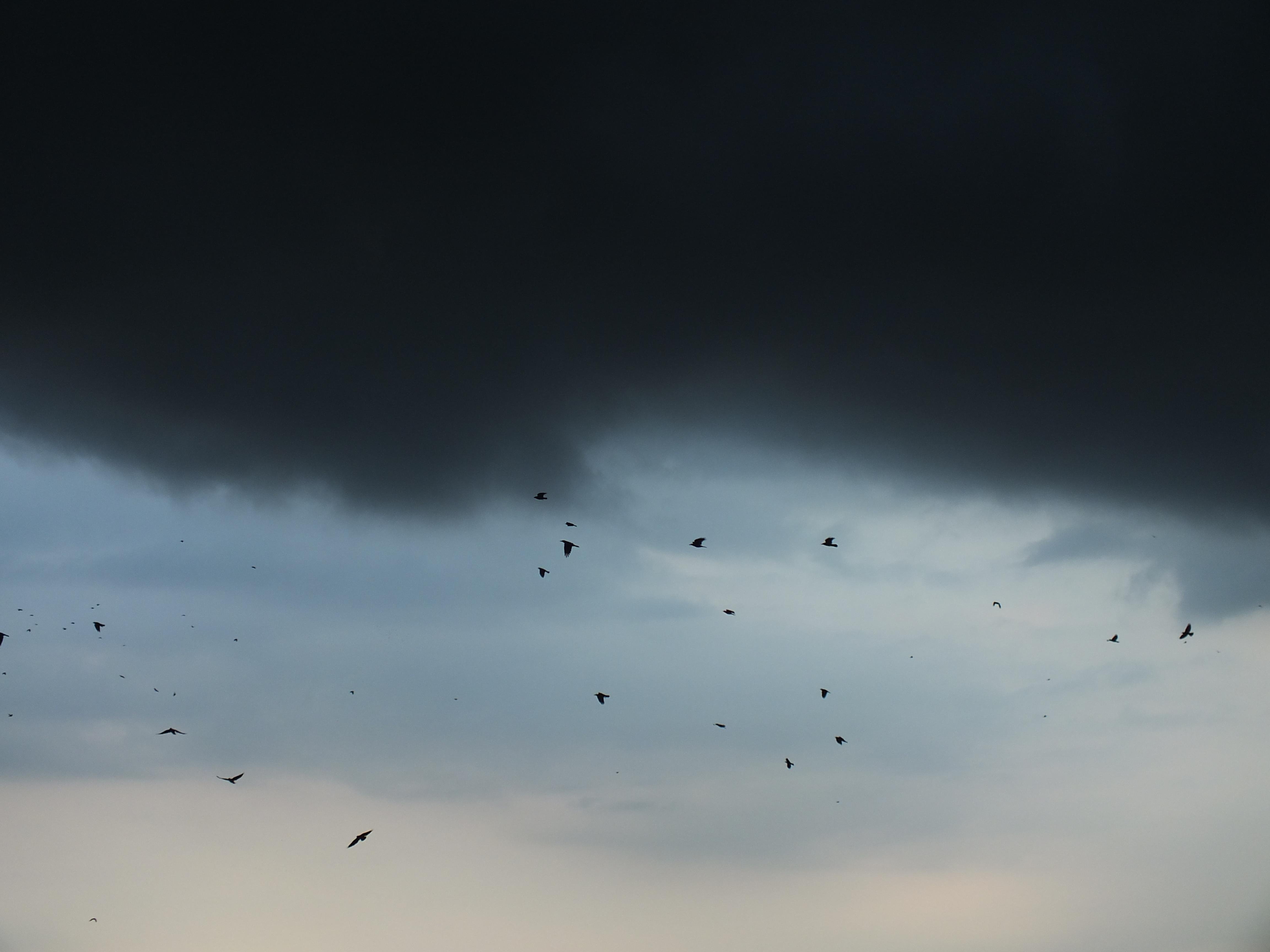 storm, Sky Wallpapers HD / Desktop and Mobile Backgrounds