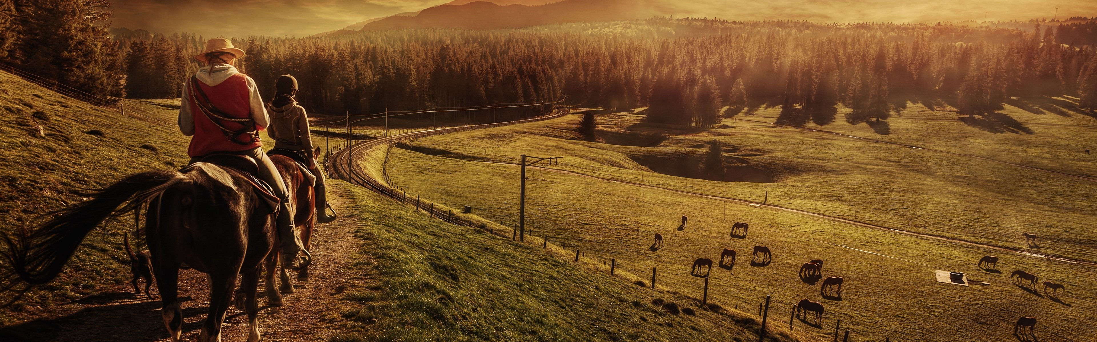 multi, Monitor, Dual, Screen, Widescreen Wallpapers HD / Desktop and ...