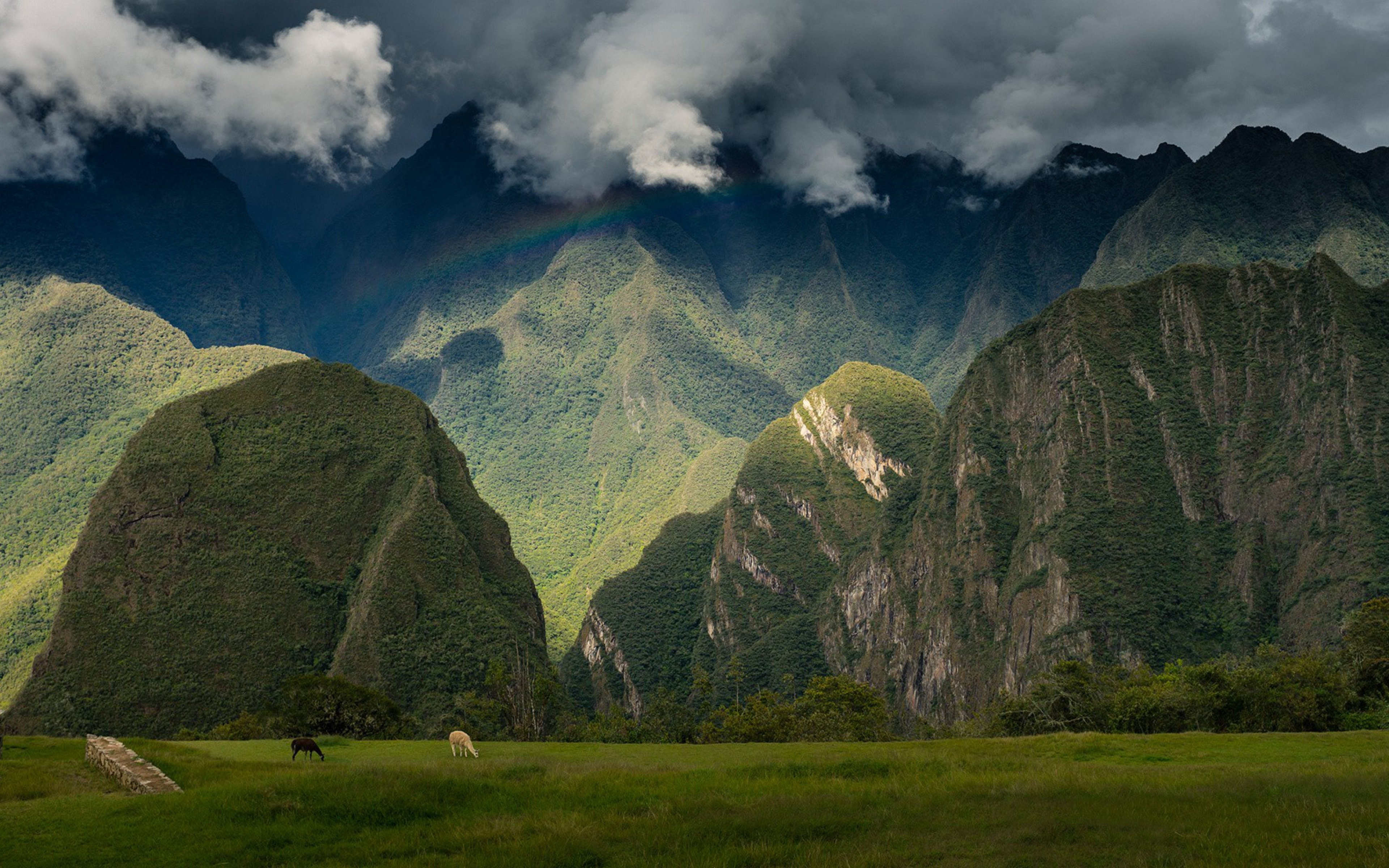 machu, Pichu, Montaa Wallpapers HD / Desktop and Mobile Backgrounds