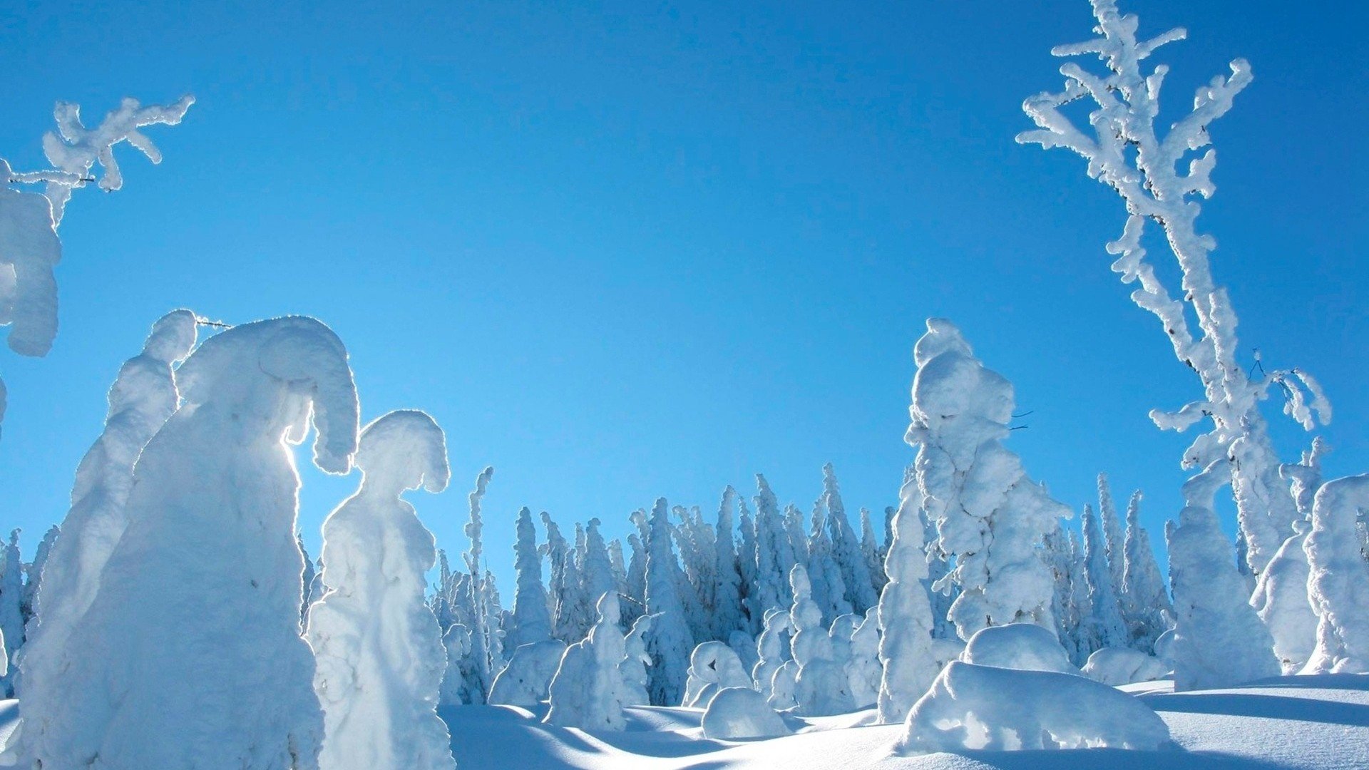 winter, Snow, Landscape, Nature Wallpapers HD / Desktop and Mobile ...