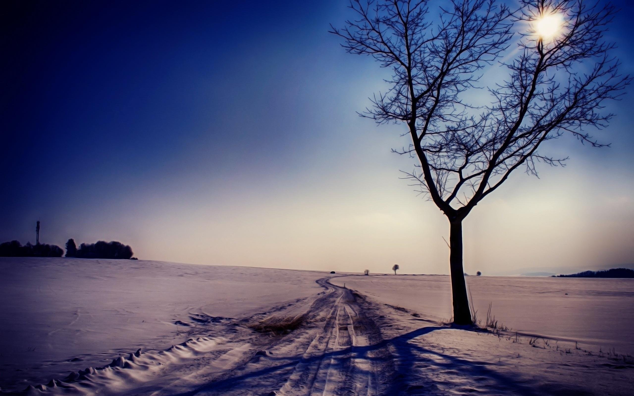 winter, Snow, Landscape, Nature Wallpapers HD / Desktop and Mobile ...