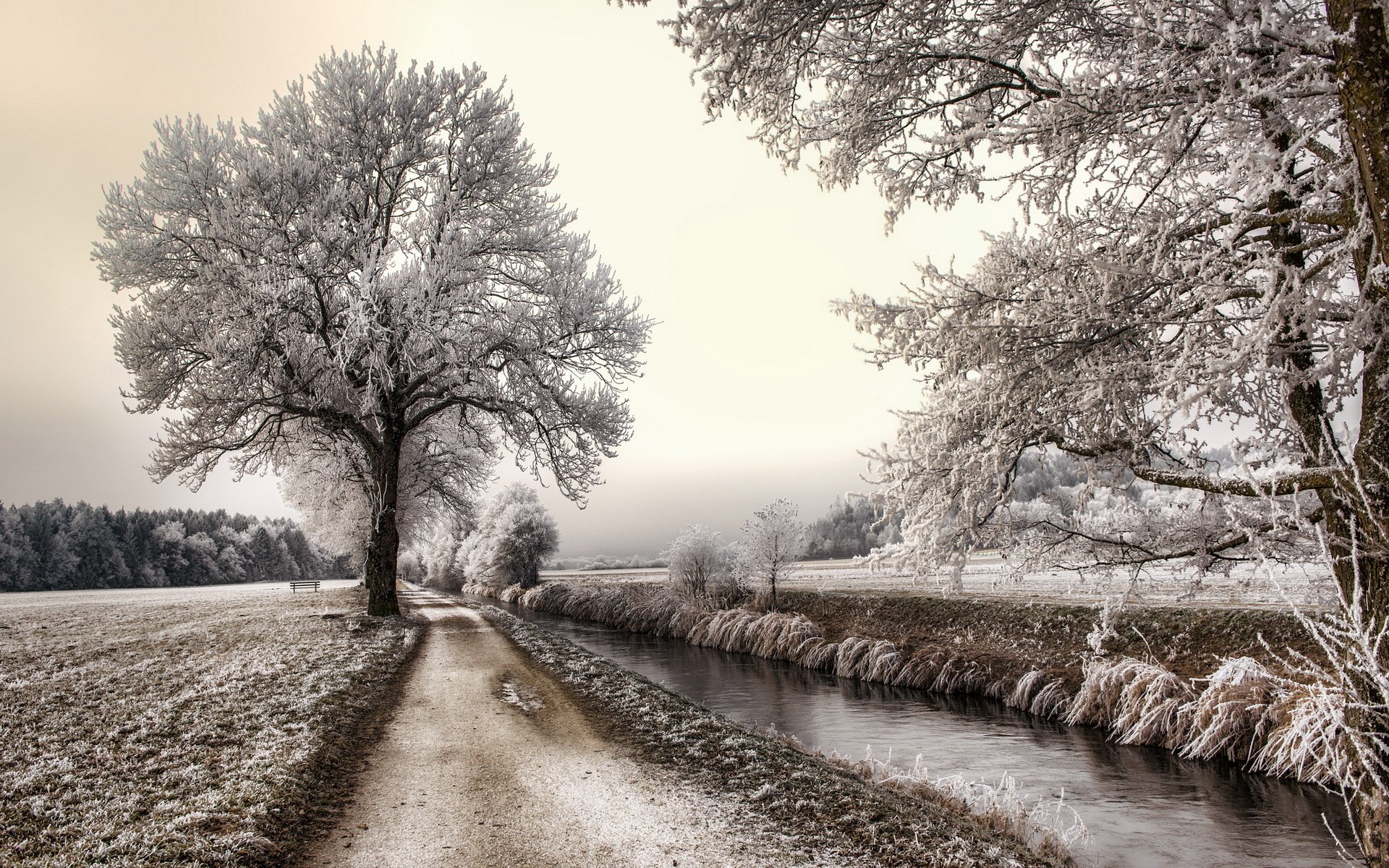 winter, Snow, Landscape, Nature Wallpapers HD / Desktop and Mobile ...