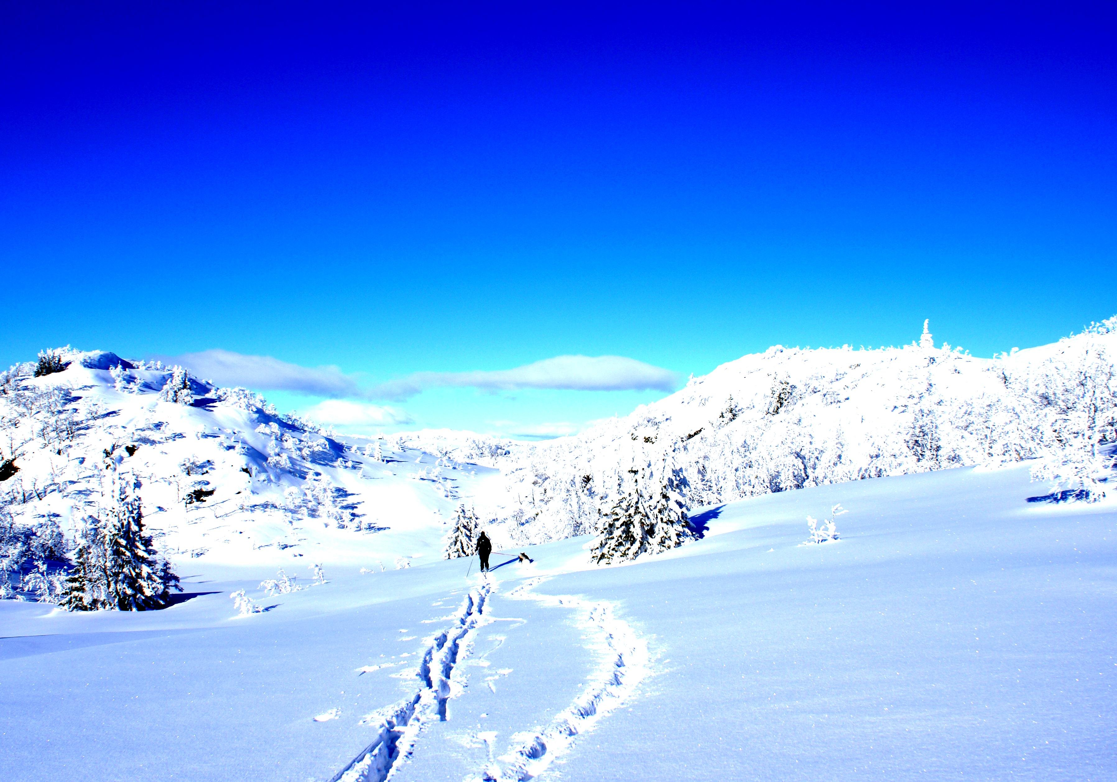winter, Snow, Landscape, Nature Wallpapers HD / Desktop and Mobile ...