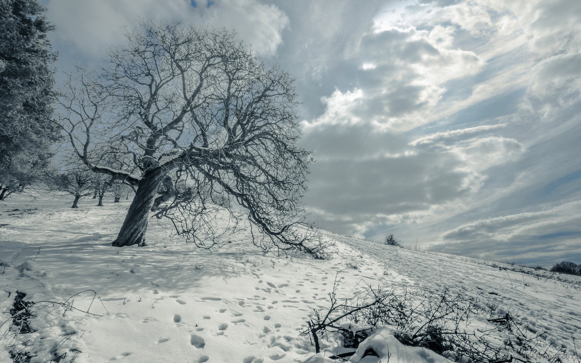 winter, Snow, Landscape, Nature Wallpapers HD / Desktop and Mobile ...