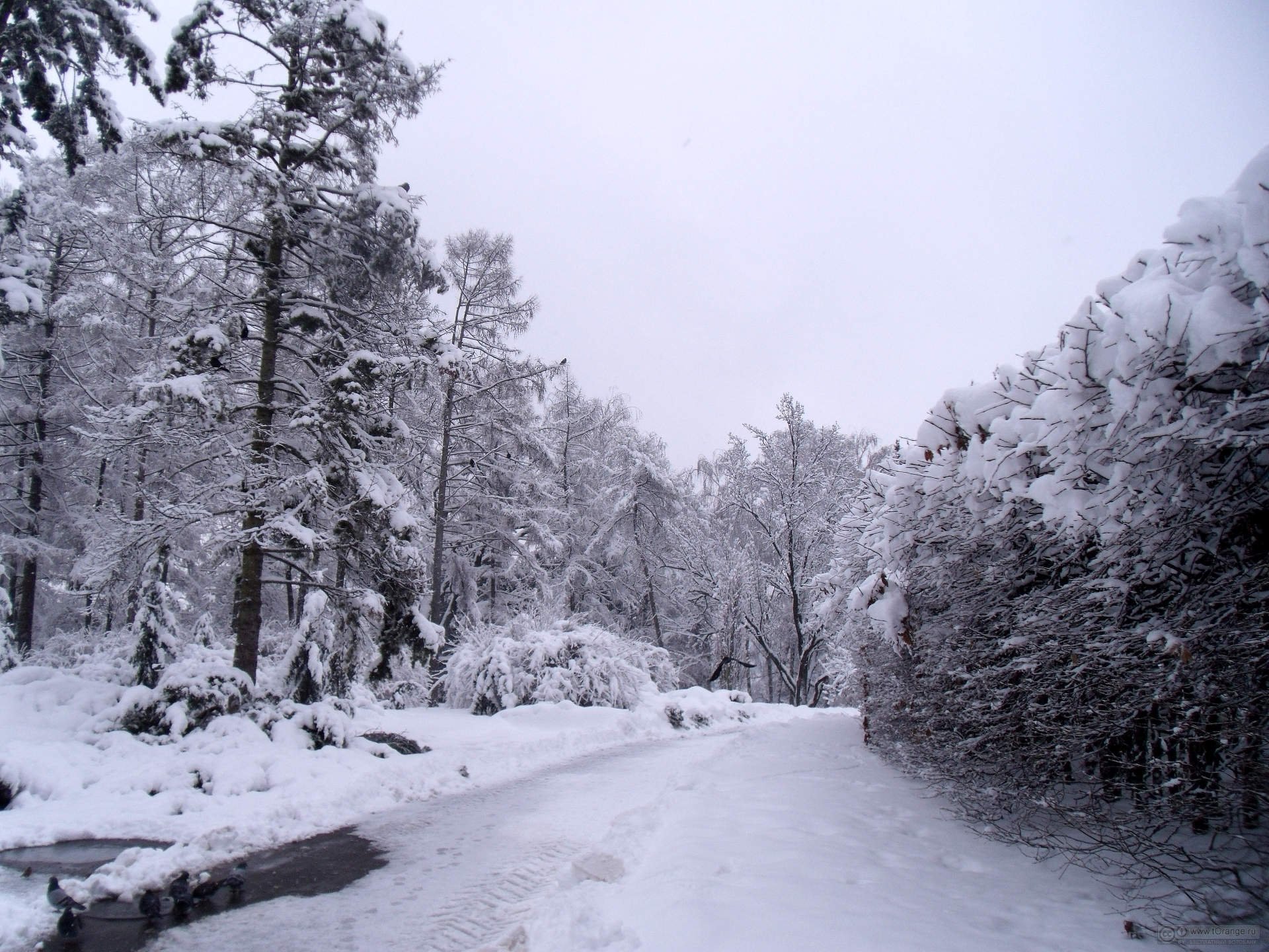 winter, Snow, Landscape, Nature Wallpapers HD / Desktop and Mobile ...
