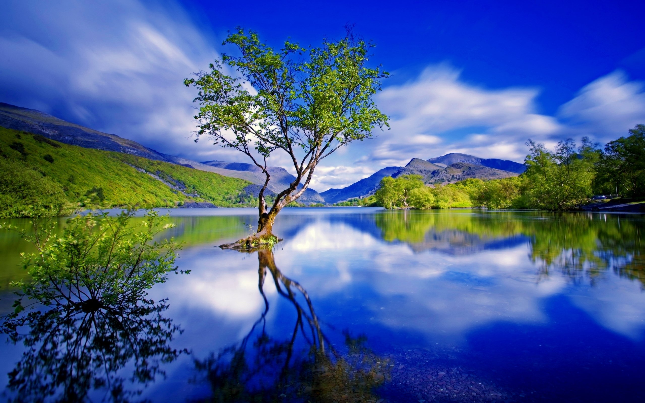 landscape, River, Mountain, Nature, Tree, Forest, Beauty, Lake ...