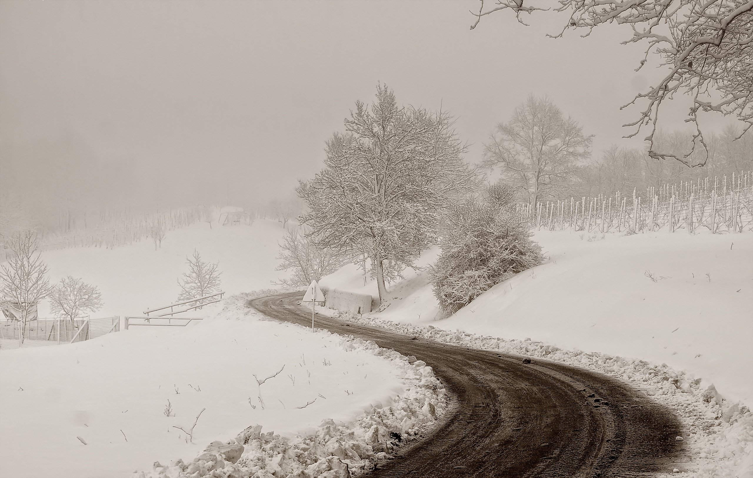 winter, Snow, Nature, Landscape Wallpapers HD / Desktop and Mobile ...