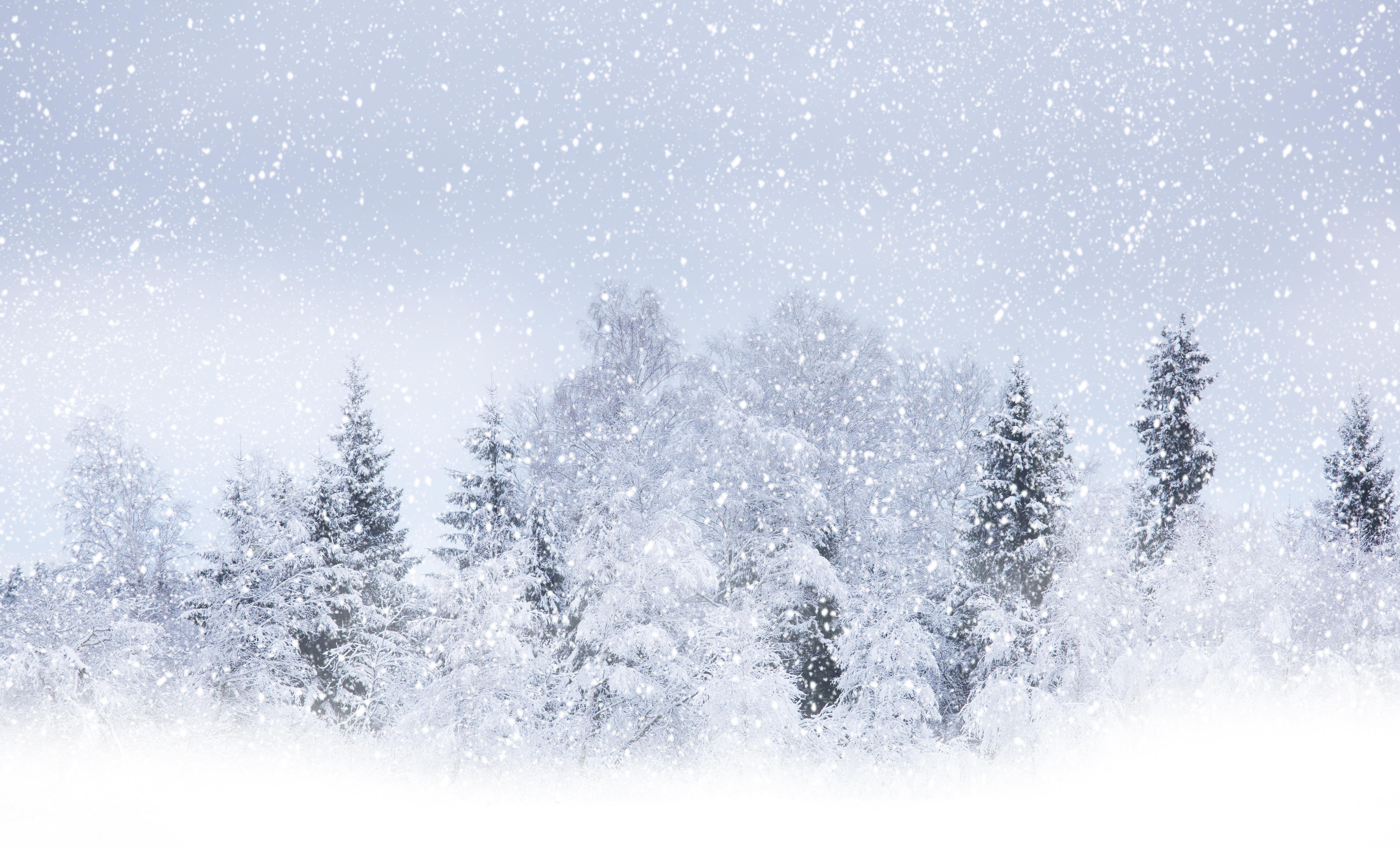 winter, Snow, Nature, Landscape Wallpapers HD / Desktop and Mobile ...
