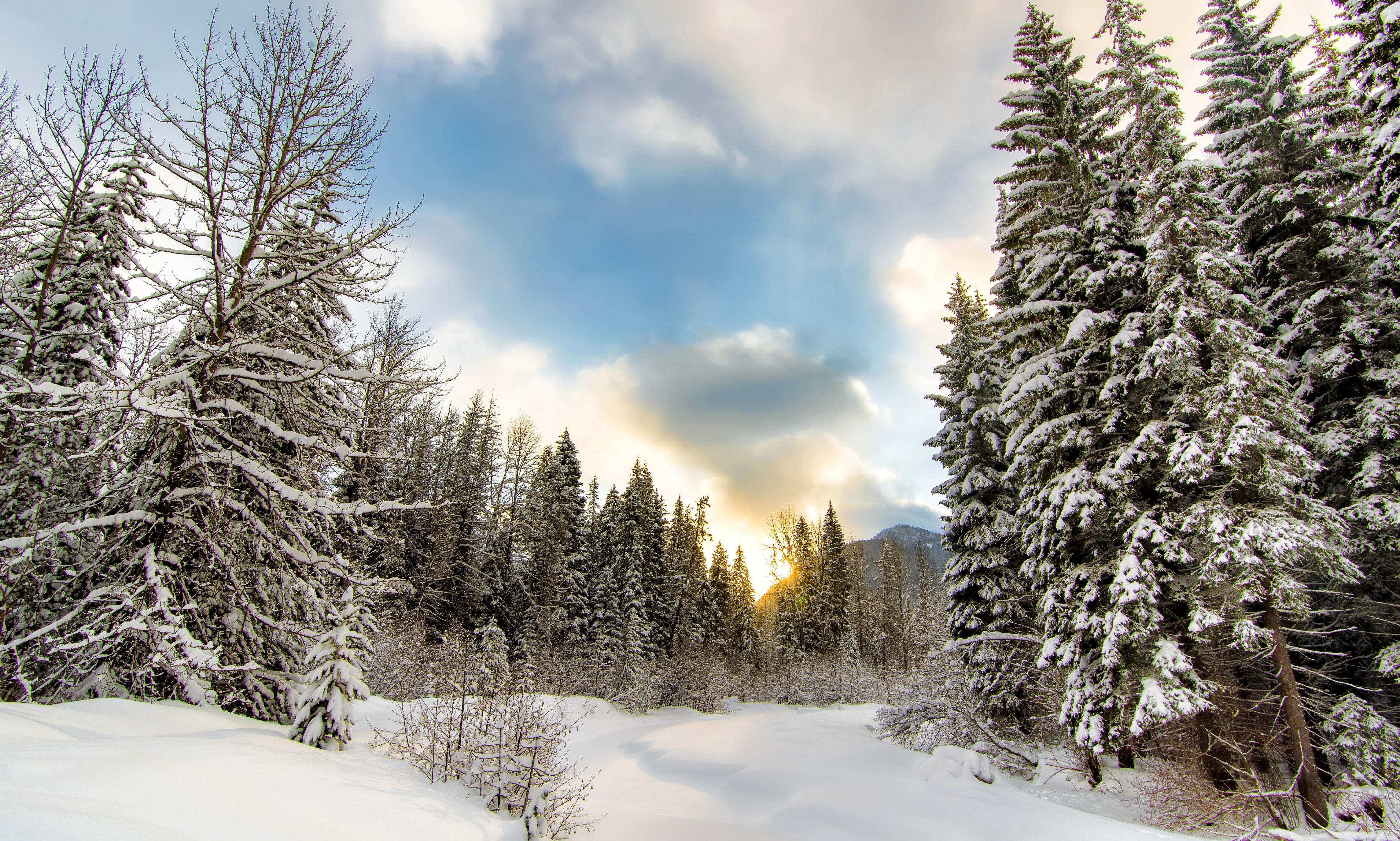 winter, Snow, Nature, Landscape Wallpapers HD / Desktop and Mobile ...