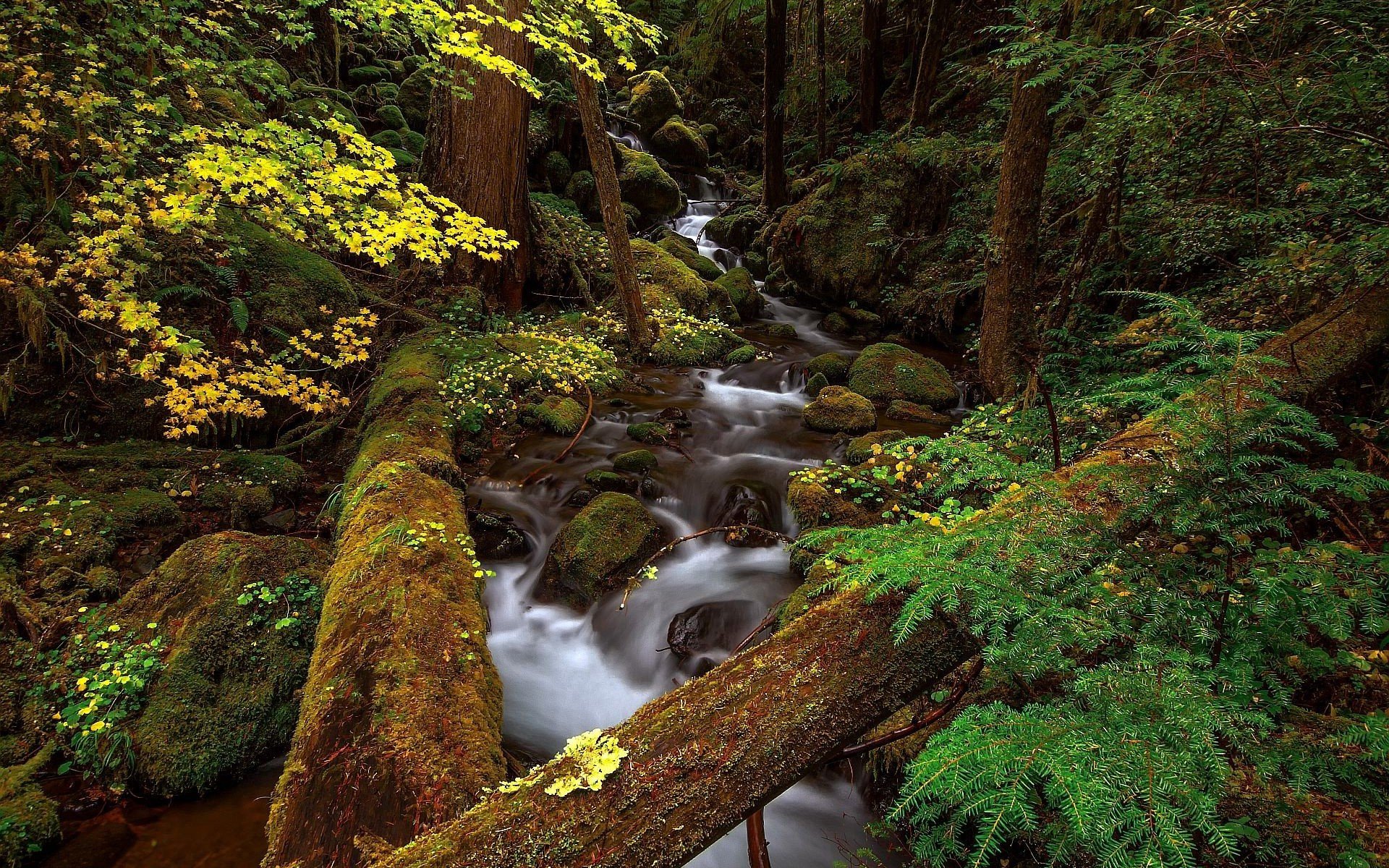 nature, River, Landscape Wallpapers HD / Desktop and Mobile Backgrounds
