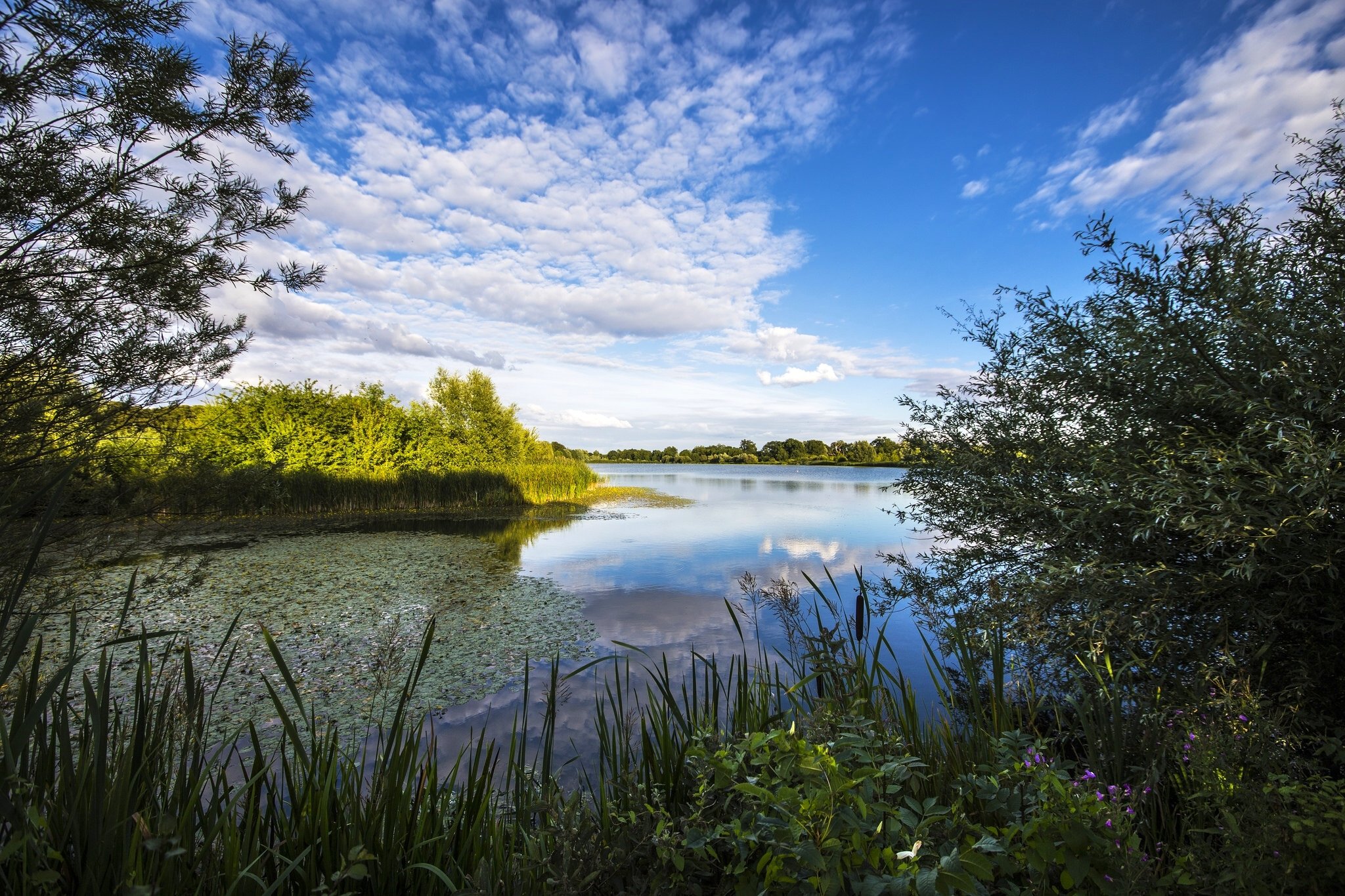 nature, River, Landscape Wallpapers HD / Desktop and Mobile Backgrounds