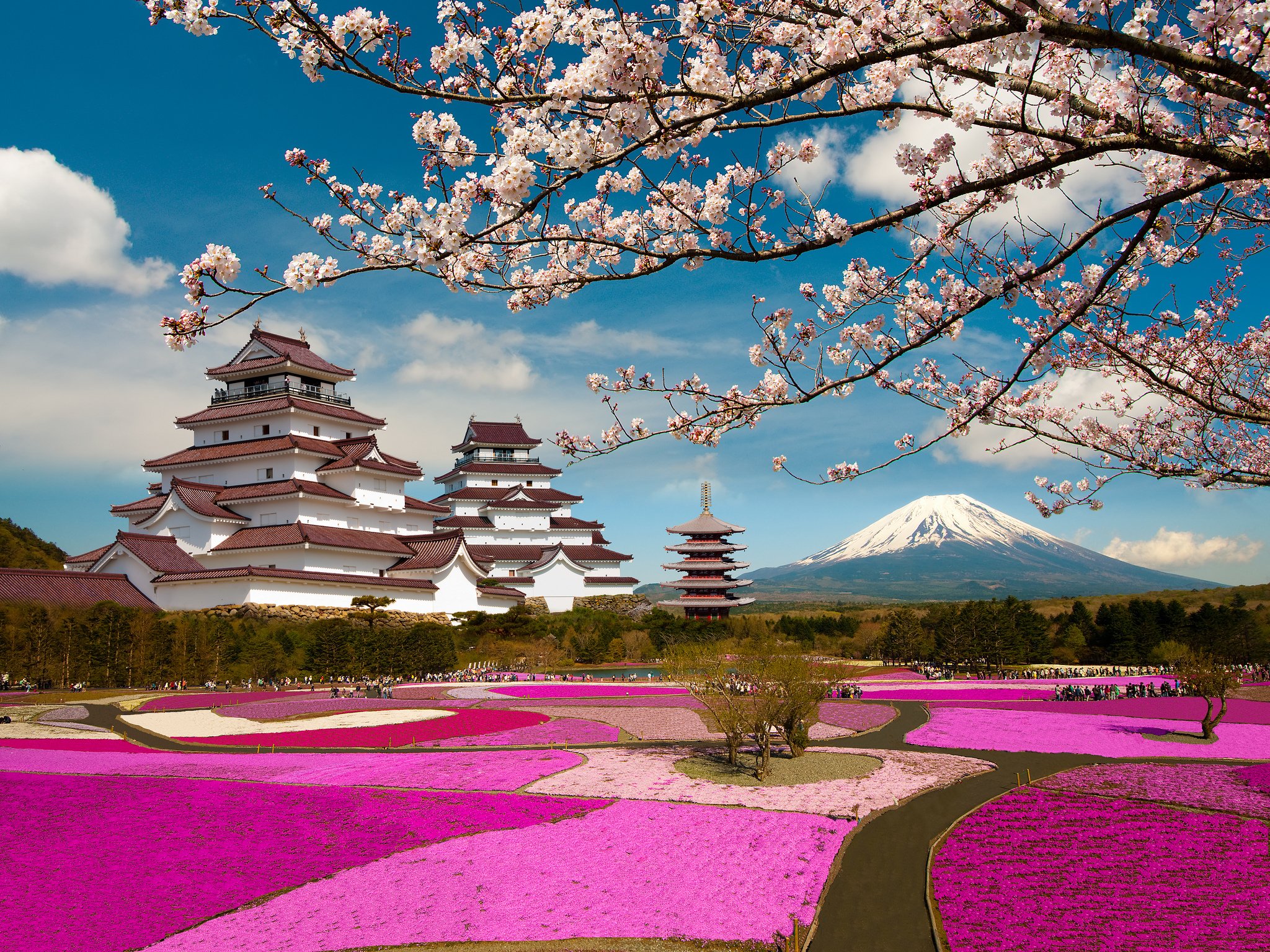 japan, Parks, Mountains, Pagodas, Sakura, Volcano, Branches ...