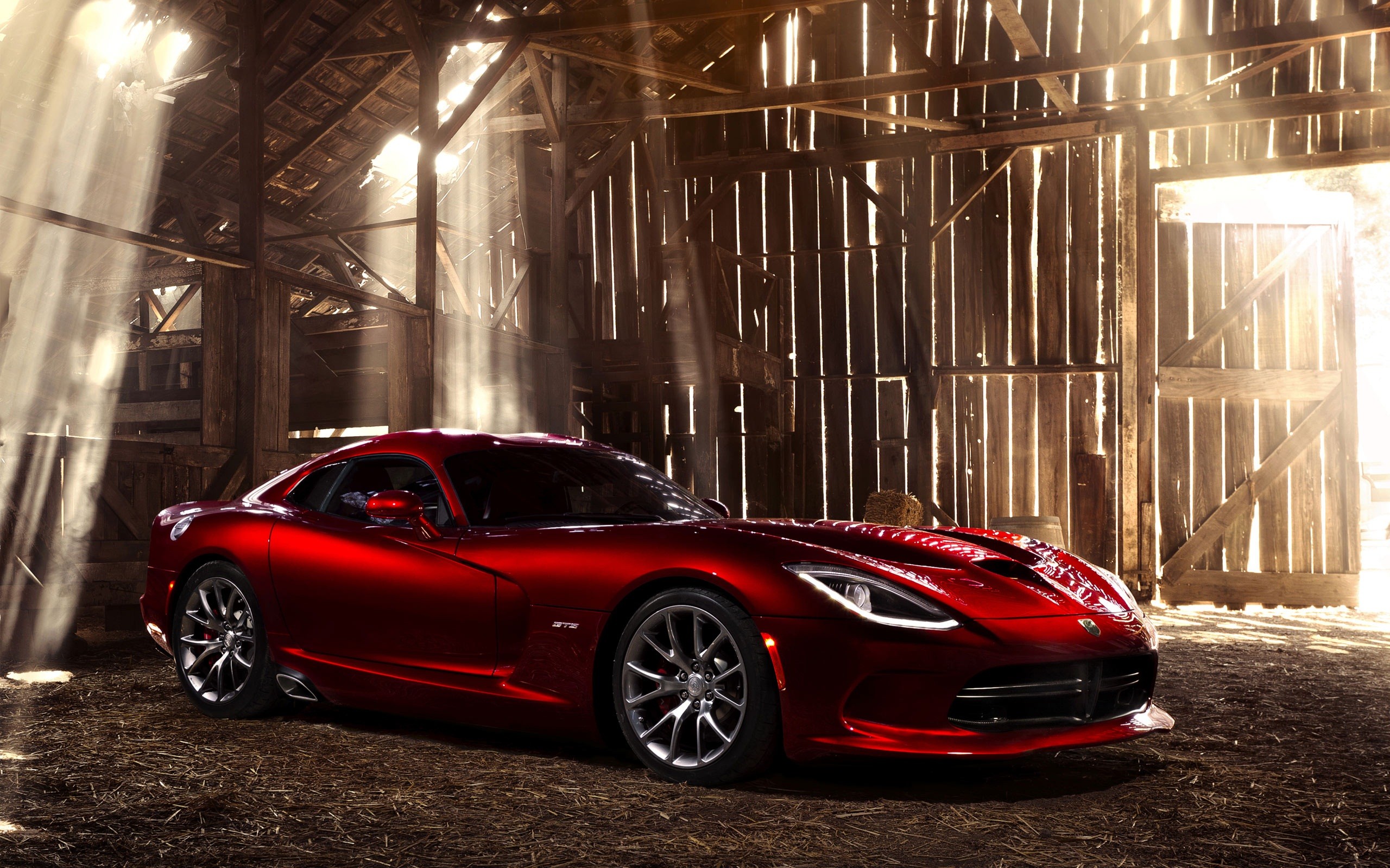 red, Cars, Snakes, Viper, Dodge, Dodge, Viper, Supercars Wallpapers HD ...