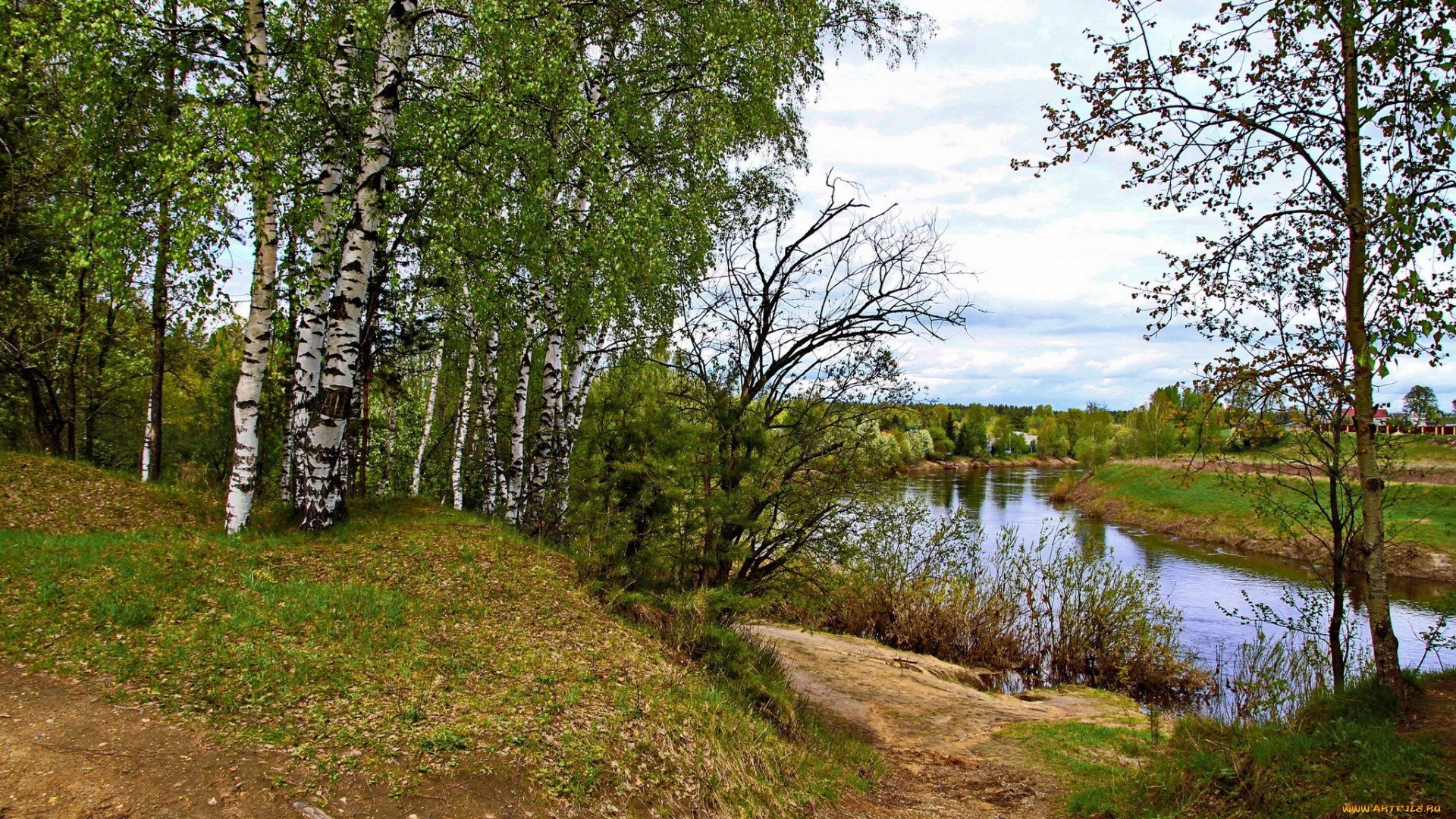 forest, Trees, River, Beach Wallpapers HD / Desktop and Mobile Backgrounds