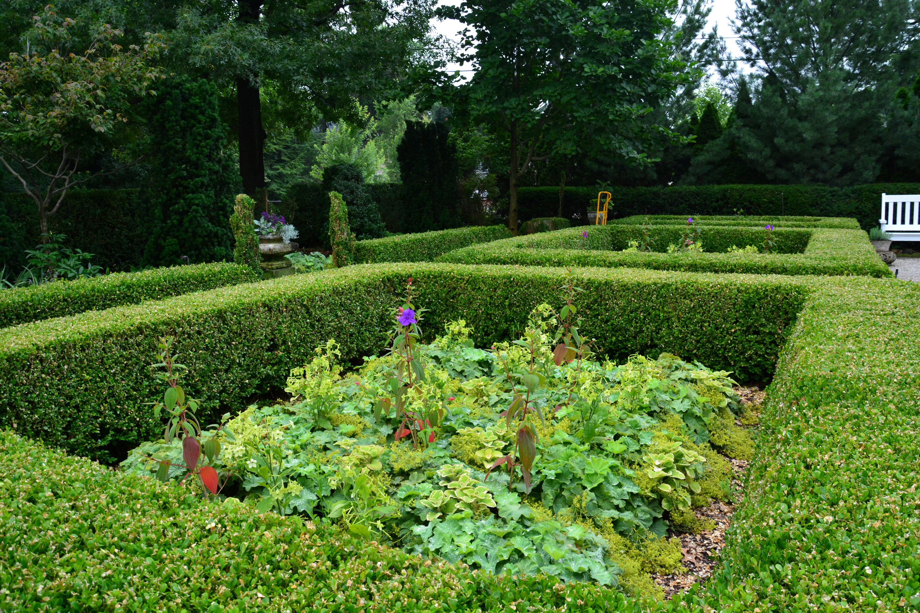 usa, Parks, Shrubs, Trees, Detroit, Garden, Nature Wallpapers HD ...