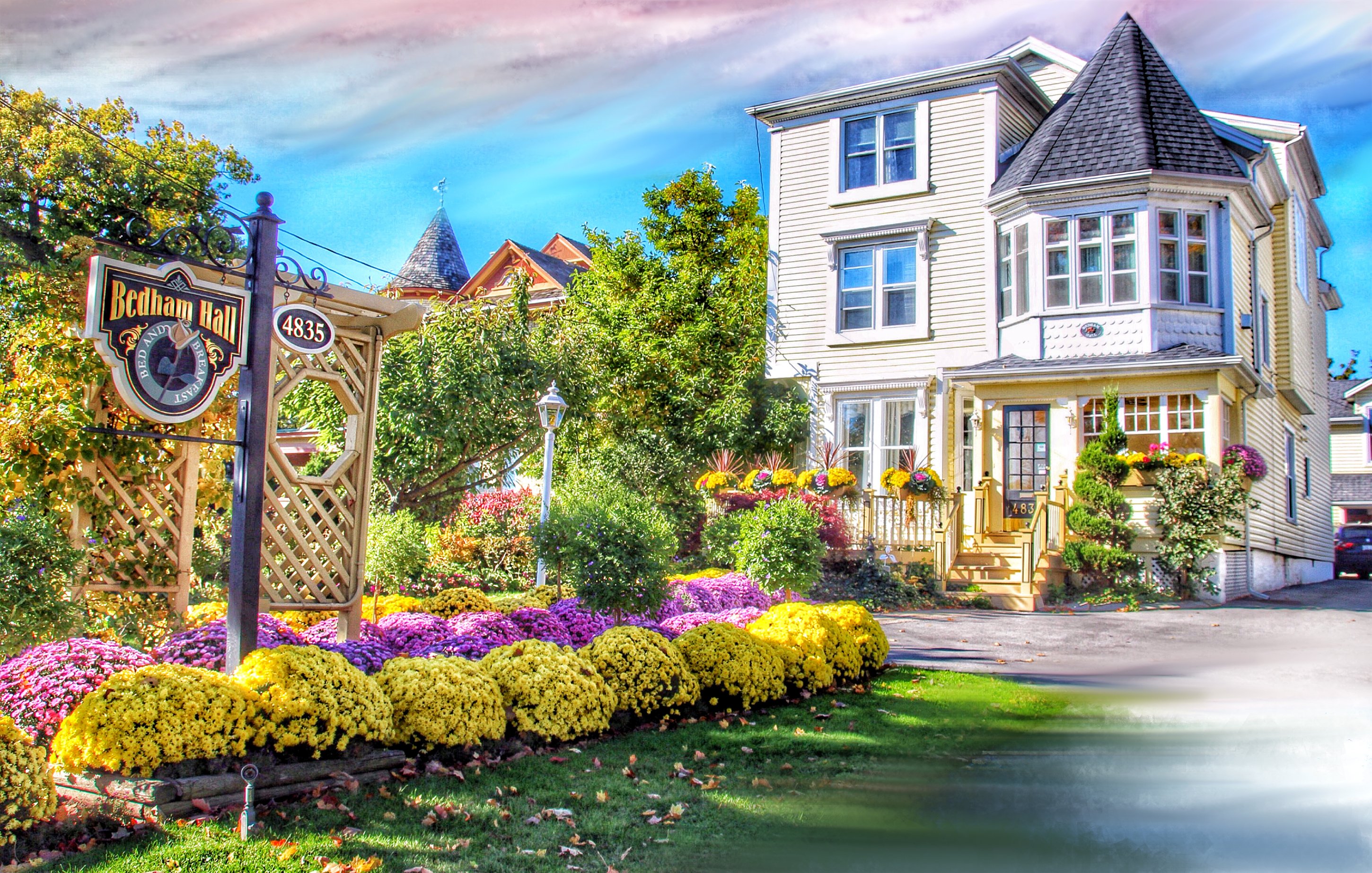 canada, Houses, Chrysanthemums, Design, Shrubs, Trees, Street, Lights ...