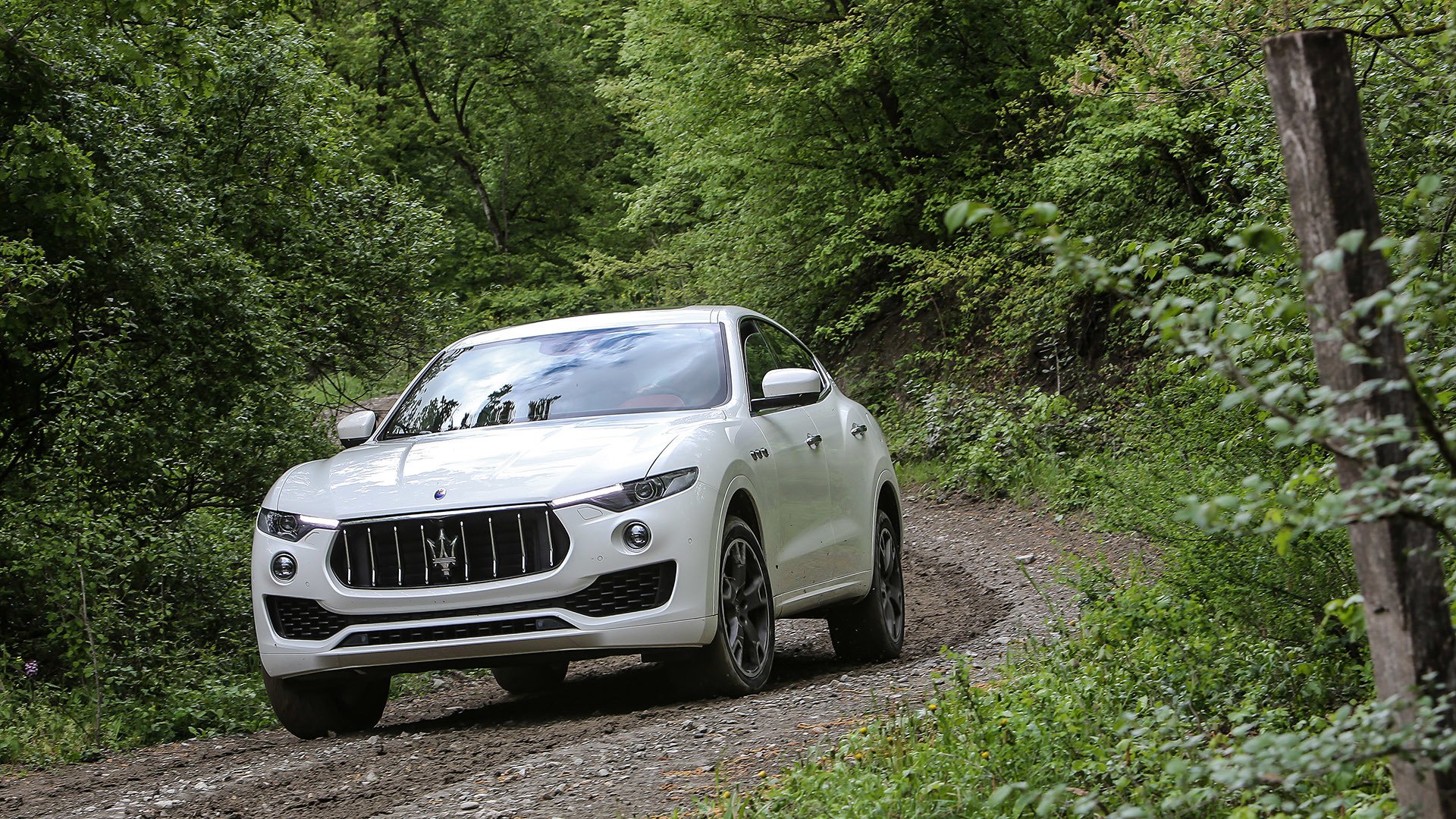 maserati, Levante, Cars, Suv, White, 2016 Wallpapers HD / Desktop and ...