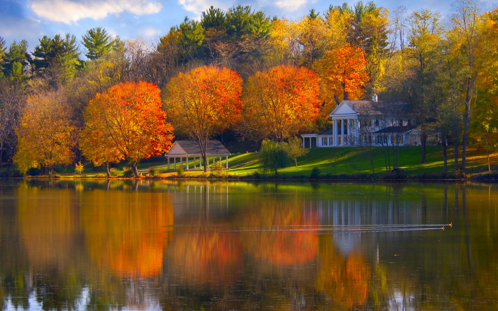autumn, Season, Fall, Color, Tree, Forest, Nature, Landscape Wallpapers ...