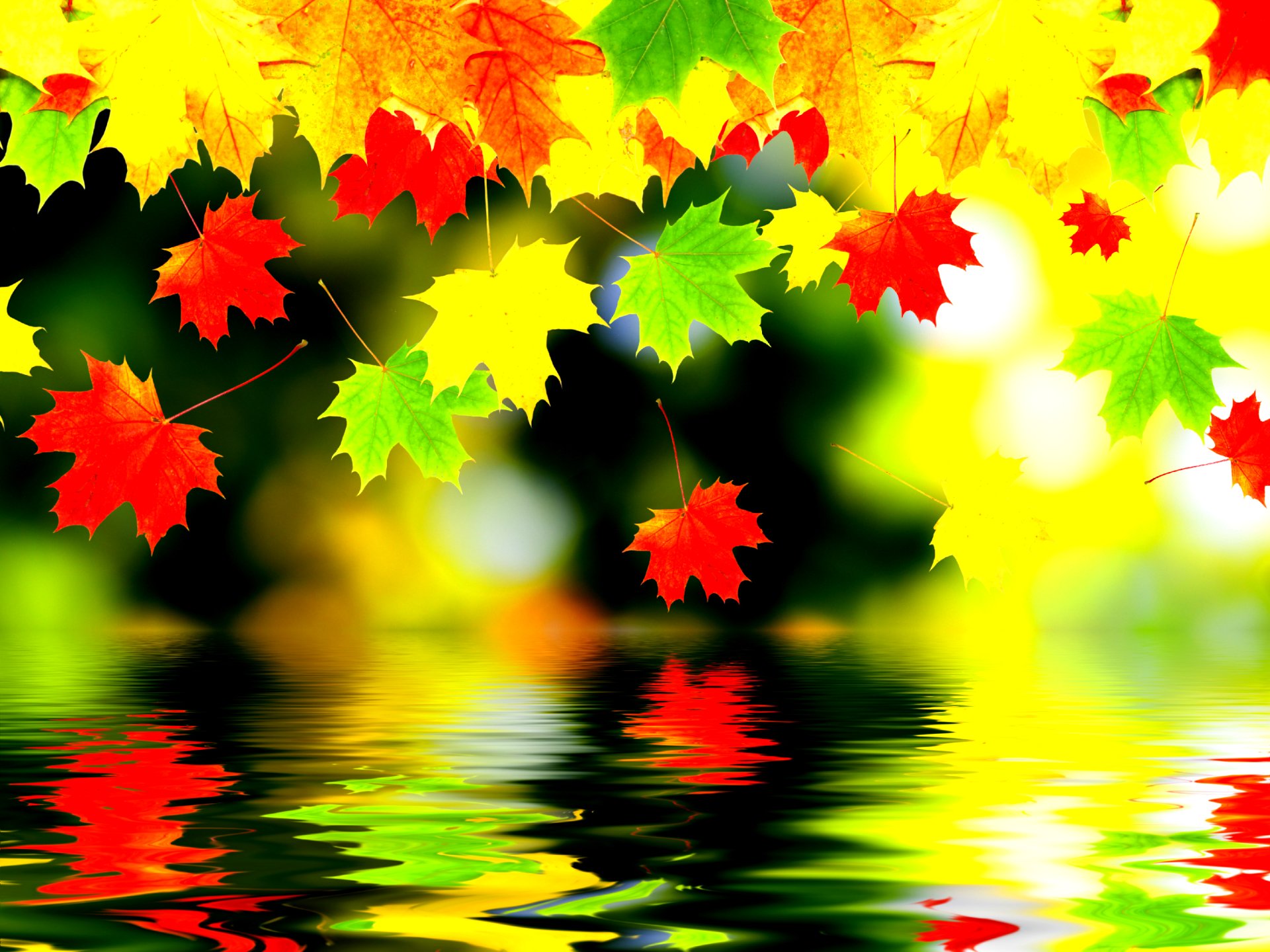 autumn, Season, Fall, Color, Tree, Forest, Nature, Landscape Wallpapers ...