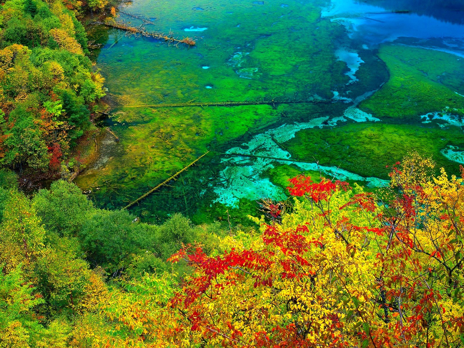 autumn, Fall, Season, Nature, Landscape, Leaf, Leaves, Color, Seasons ...