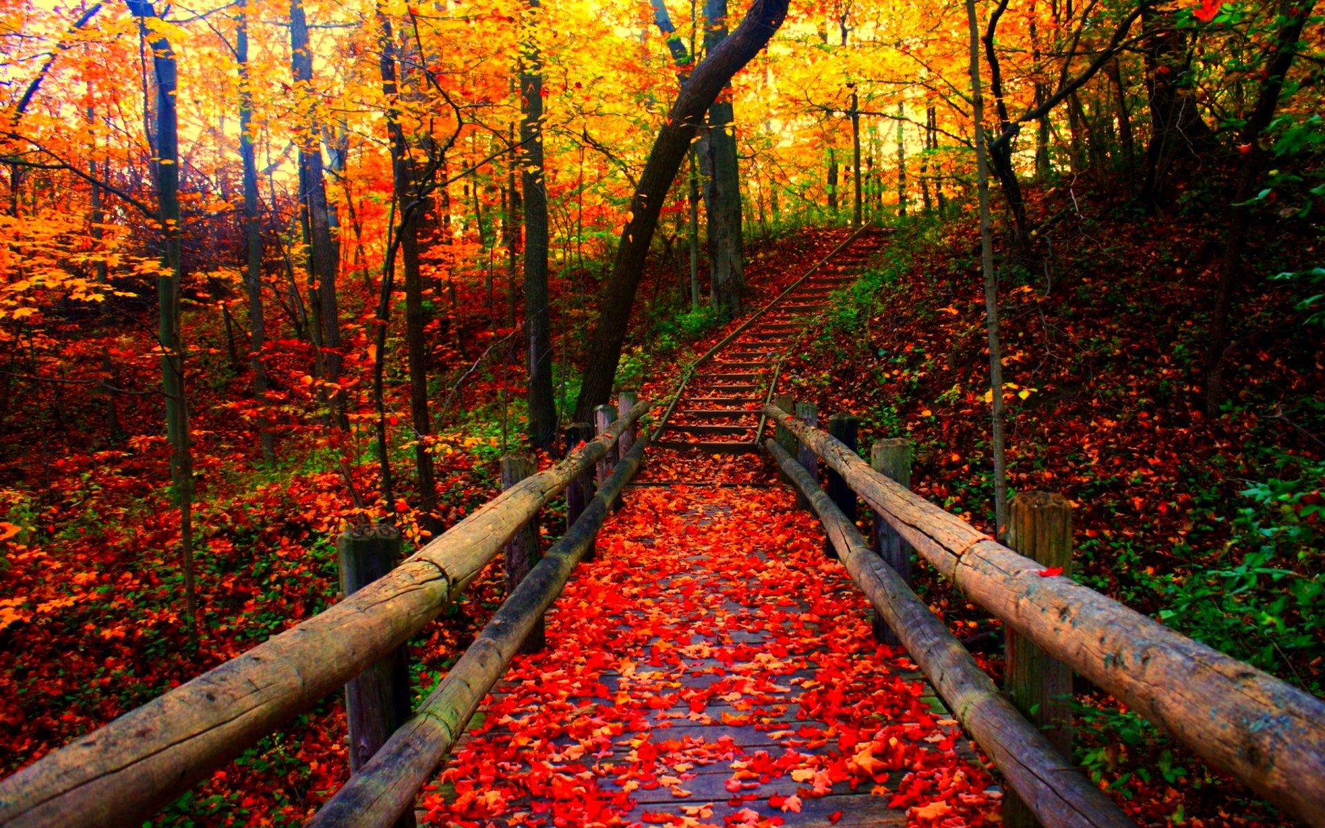 autumn, Fall, Season, Nature, Landscape, Leaf, Leaves, Color, Seasons ...