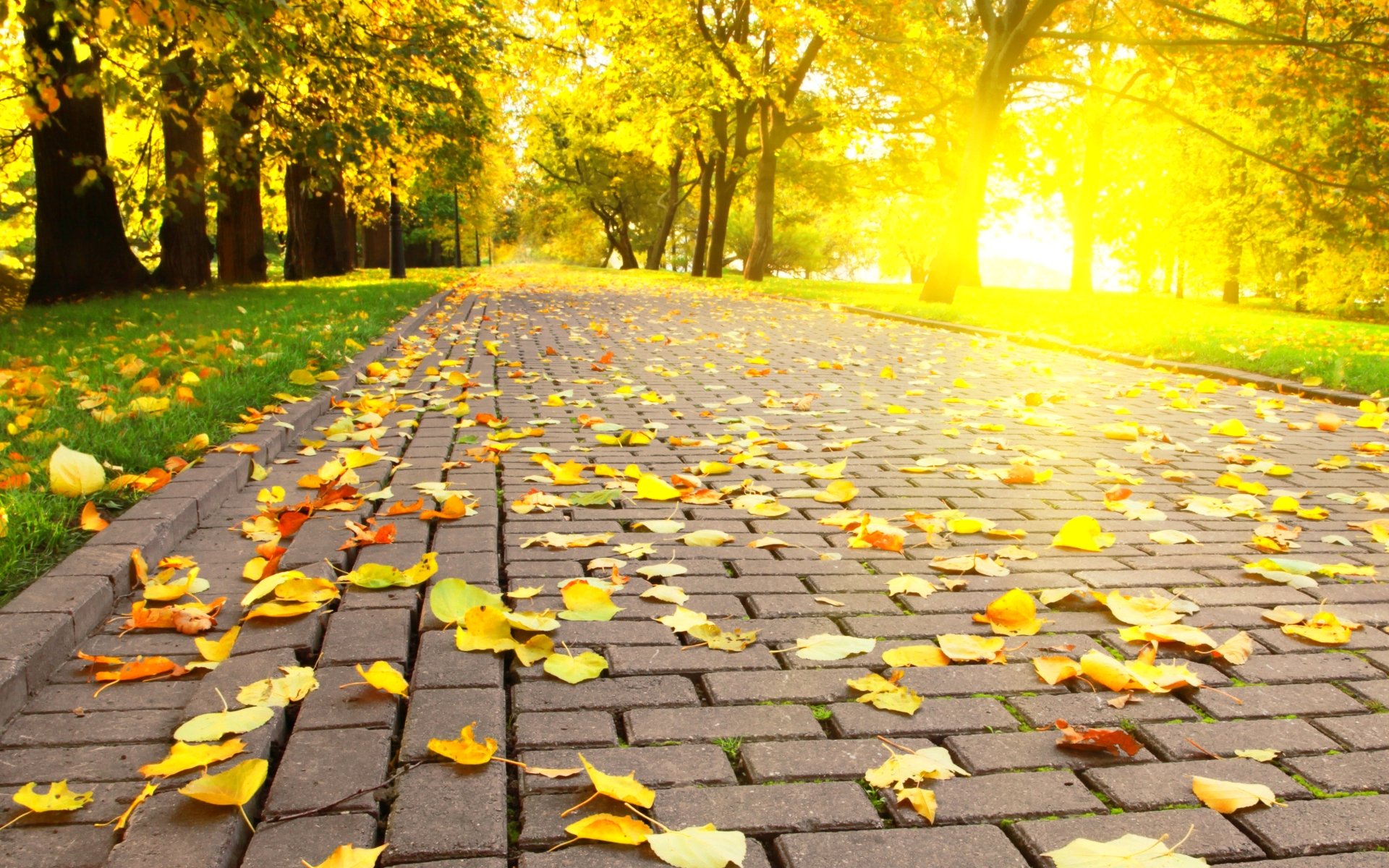 autumn, Fall, Season, Nature, Landscape, Leaf, Leaves, Color, Seasons ...