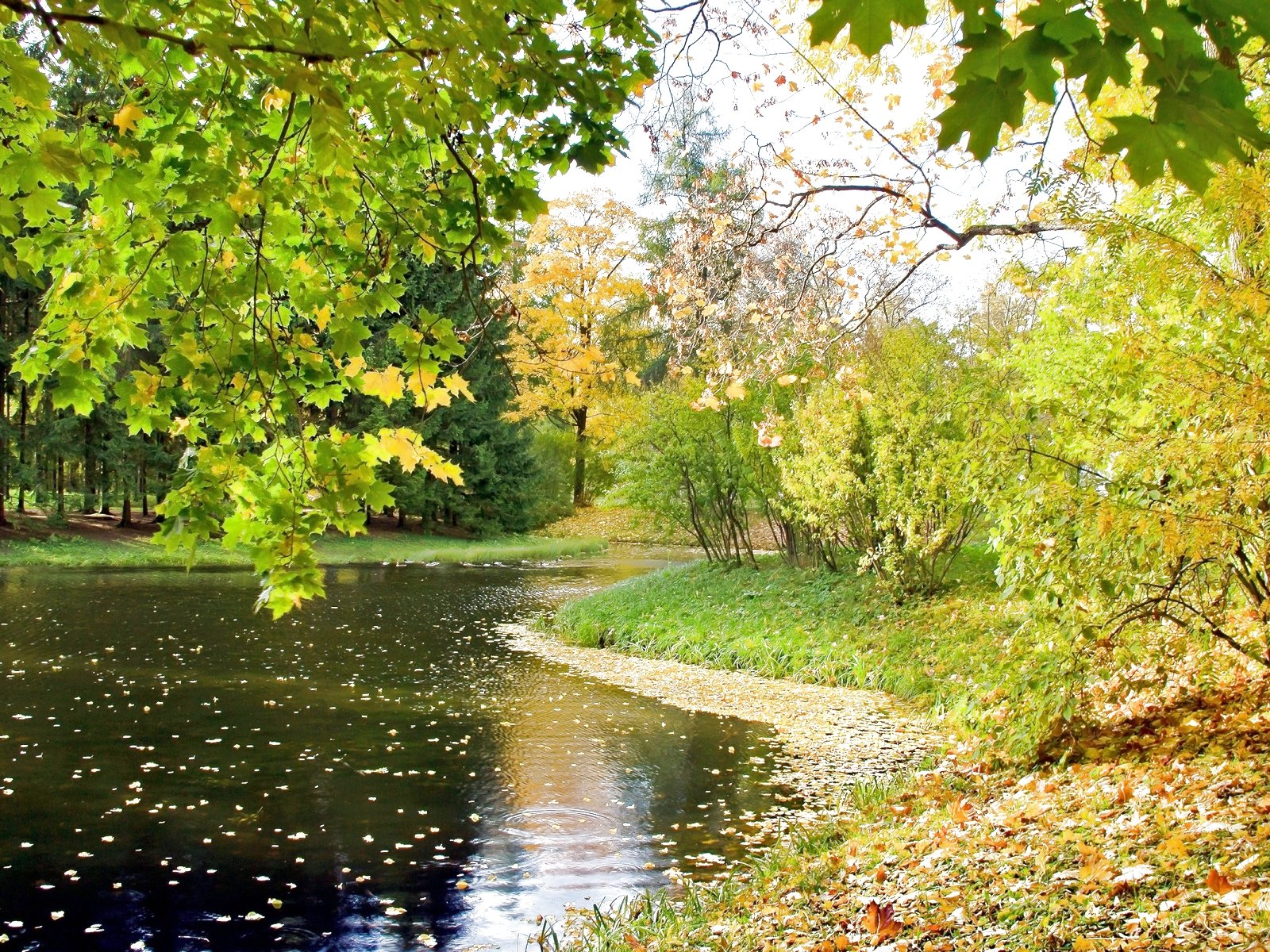 autumn, Fall, Season, Nature, Landscape, Leaf, Leaves, Color, Seasons ...