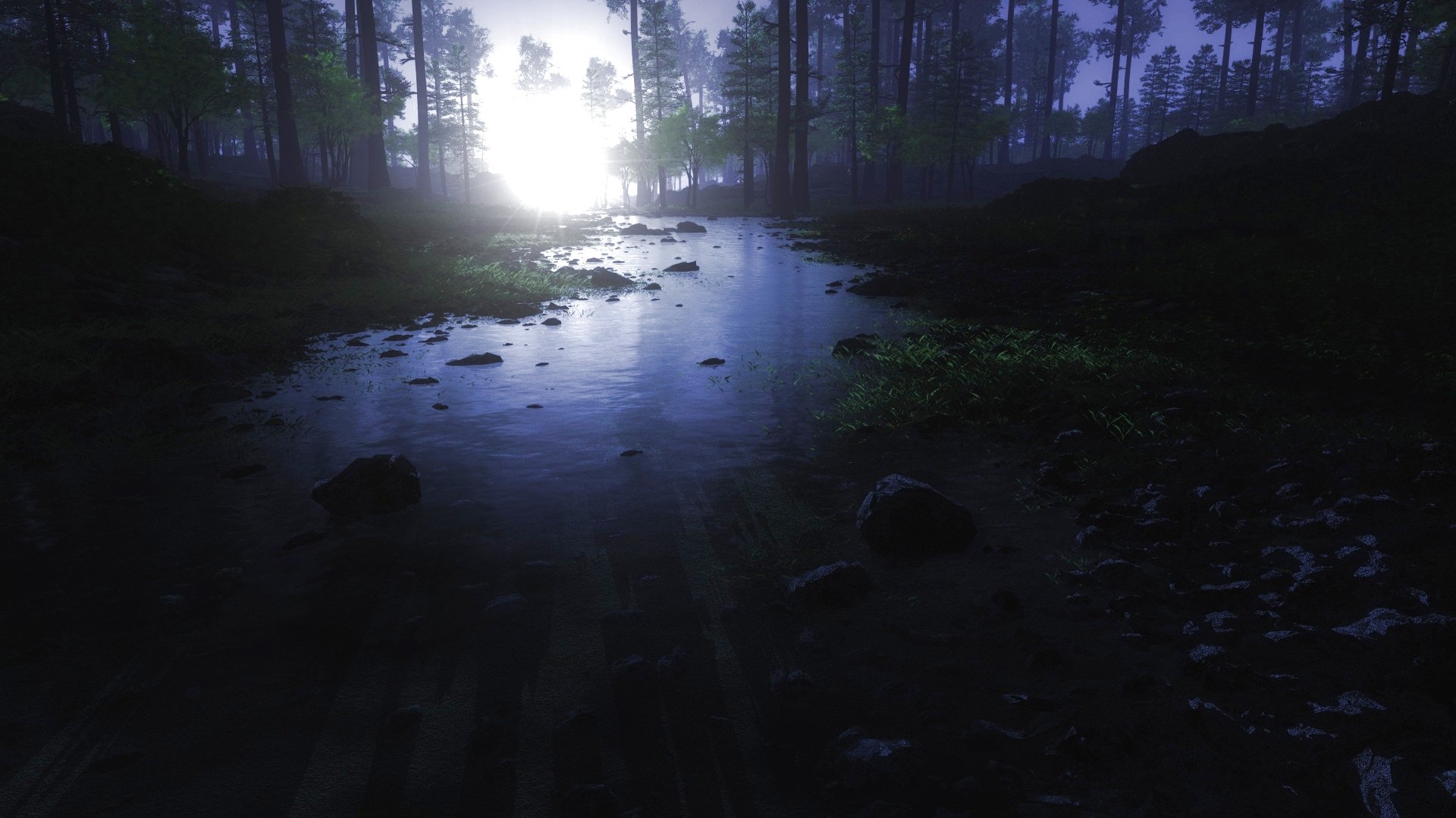 forest, Trees, Nature, Landscape, Tree Wallpapers HD / Desktop and ...