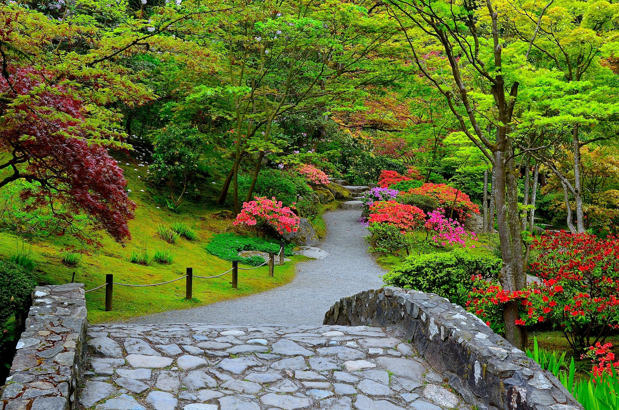 gardens, Usa, The, Kubota, Seattle, Washington, Nature Wallpapers HD ...