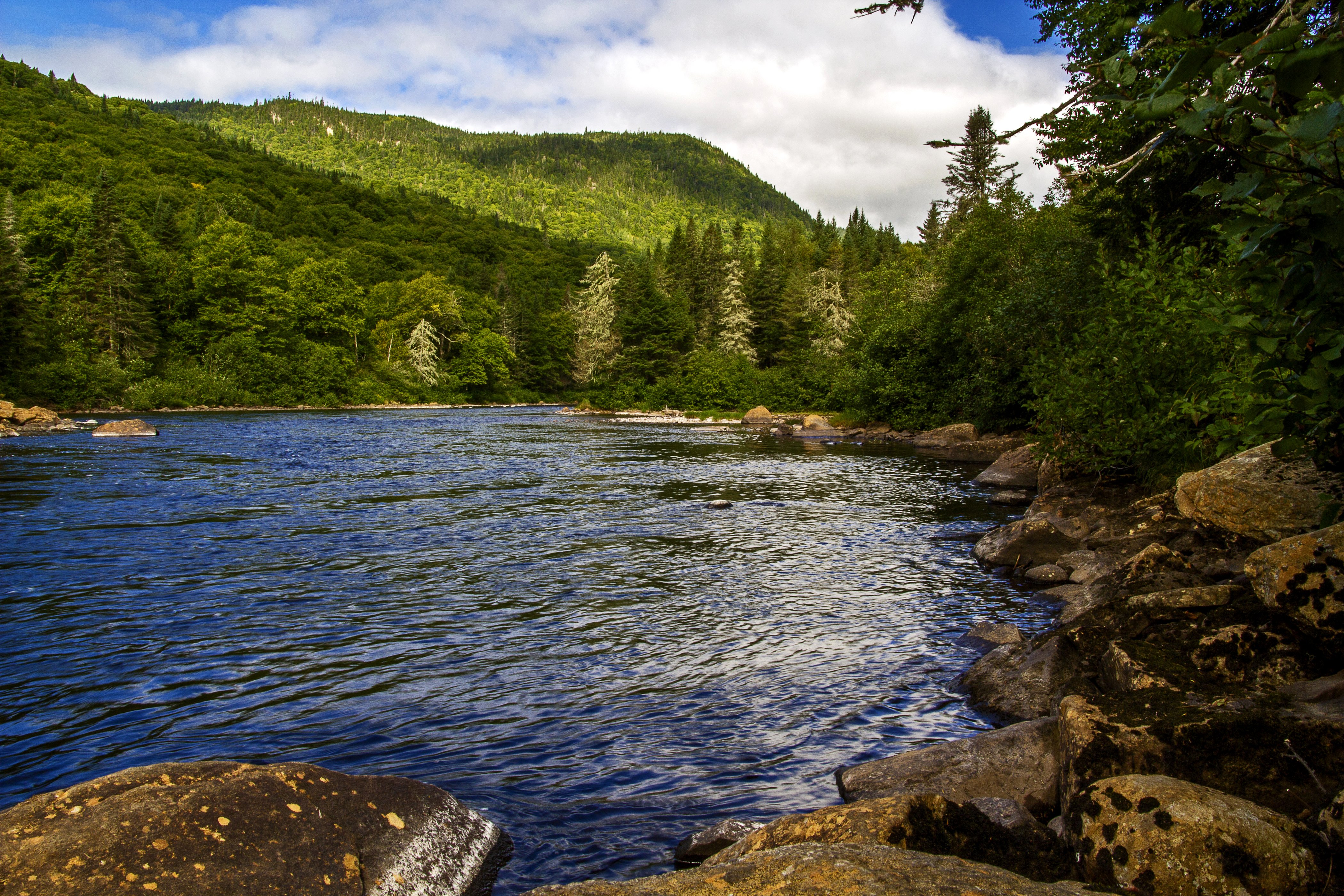 canada, Parks, Mountains, Lake, Forests, Stones, Scenery, At, Jacques ...