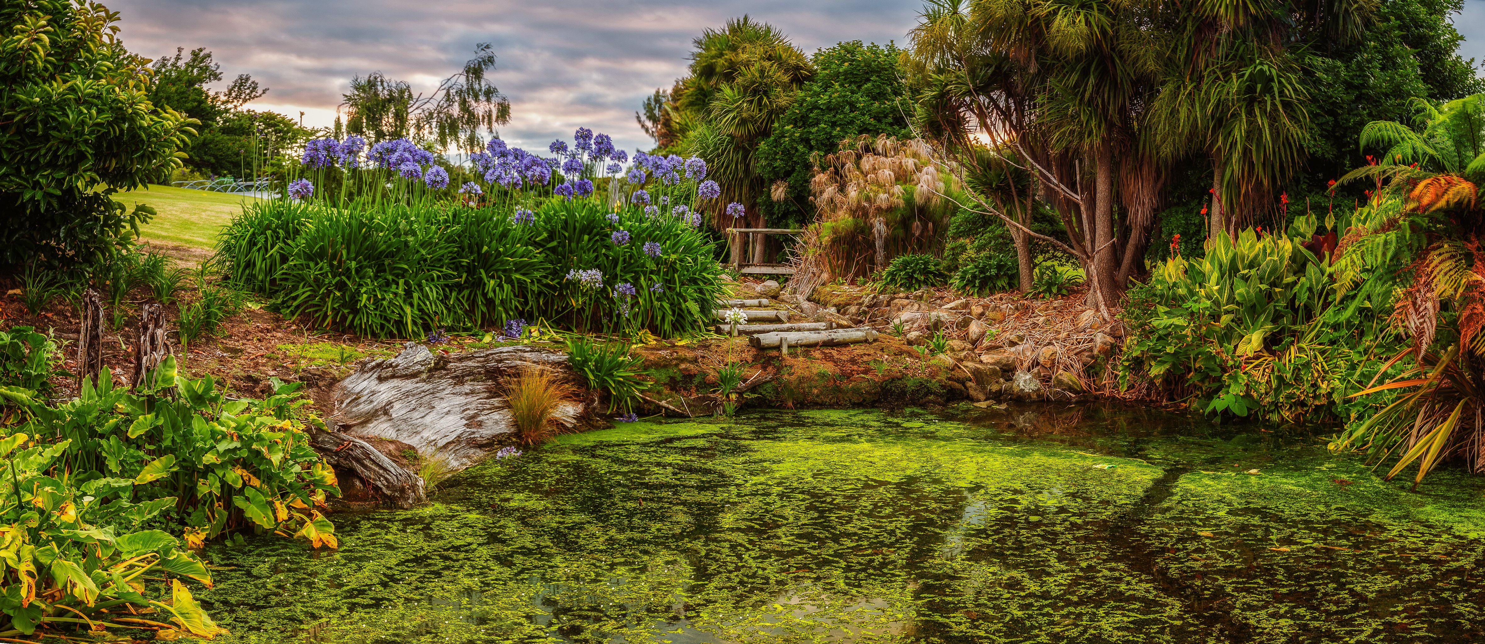 pond, Nature Wallpapers HD / Desktop and Mobile Backgrounds
