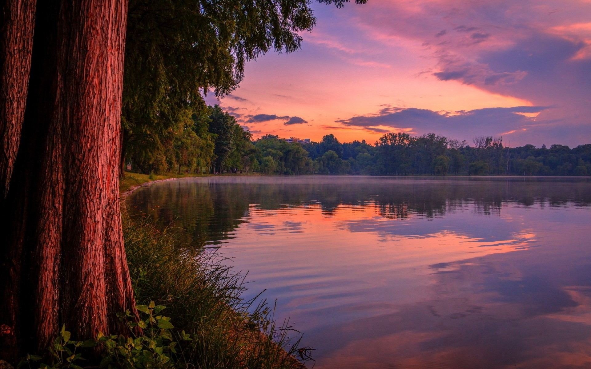 water, Forest Wallpapers HD / Desktop and Mobile Backgrounds
