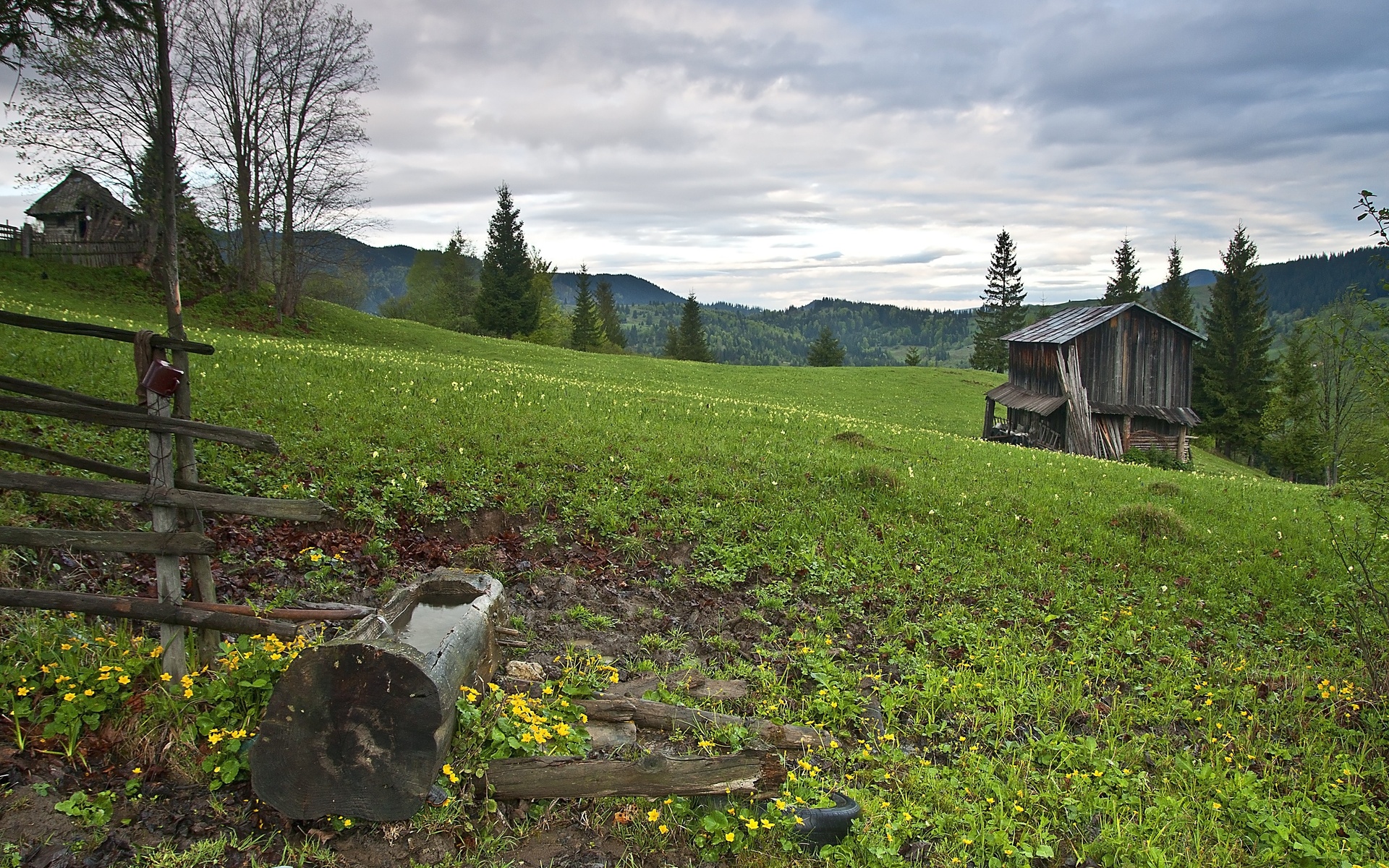 field, Hills, Trees, Forest, Landscape Wallpapers HD / Desktop and ...