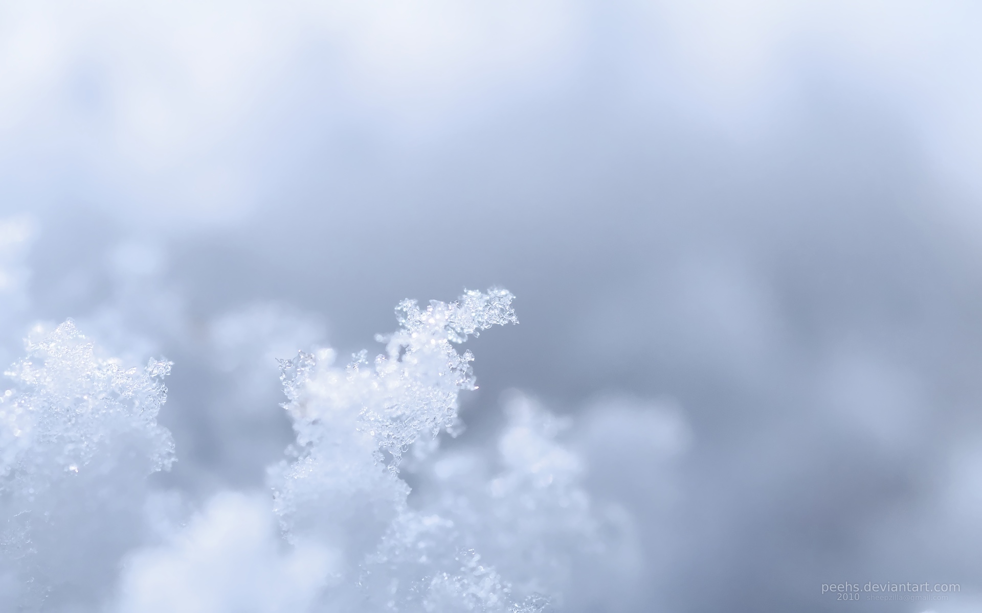 water, Ice, Snow, Macro Wallpapers HD / Desktop and Mobile Backgrounds