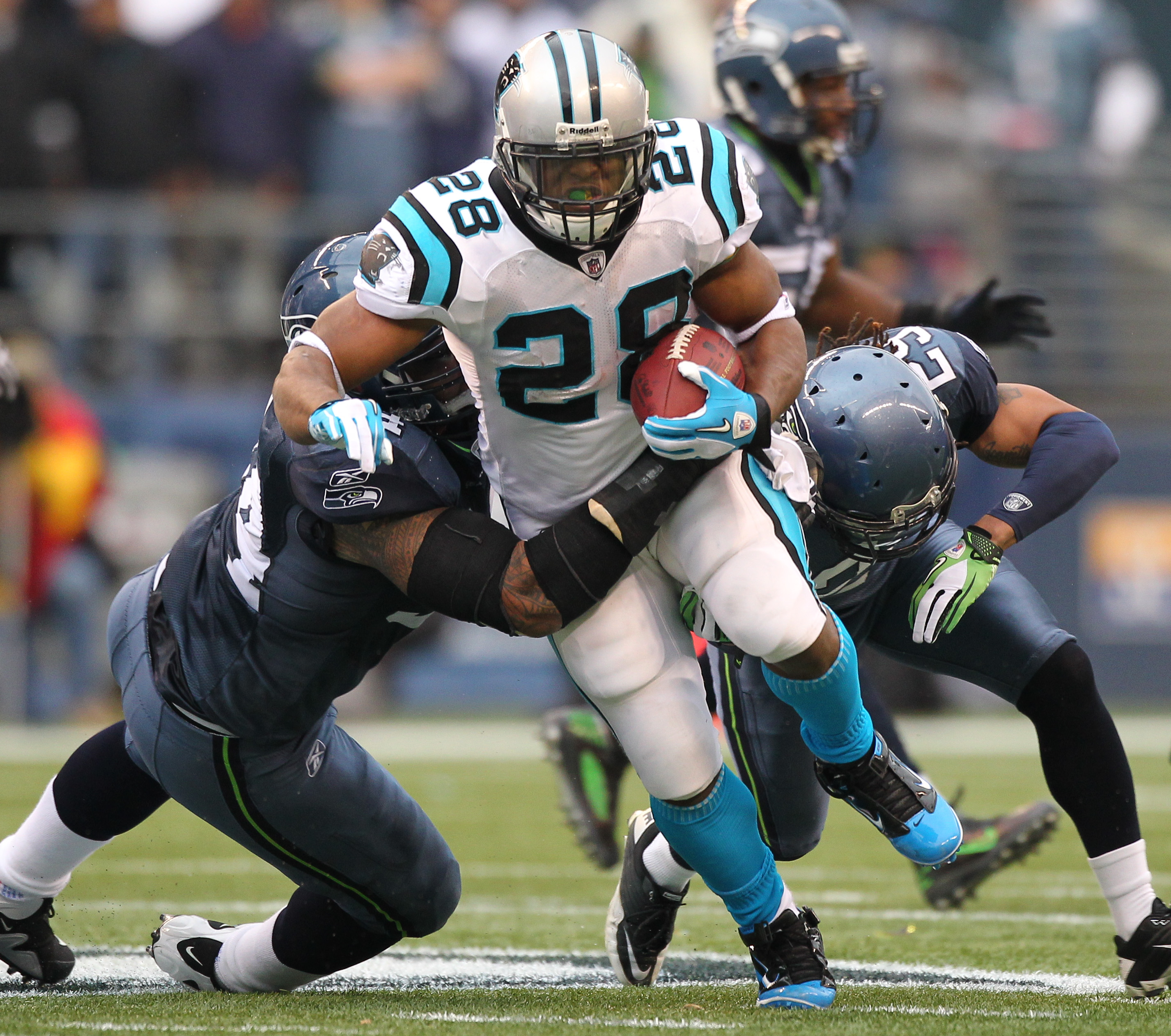 carolina, Panthers, Nfl, Football, Rw Wallpapers HD / Desktop and ...