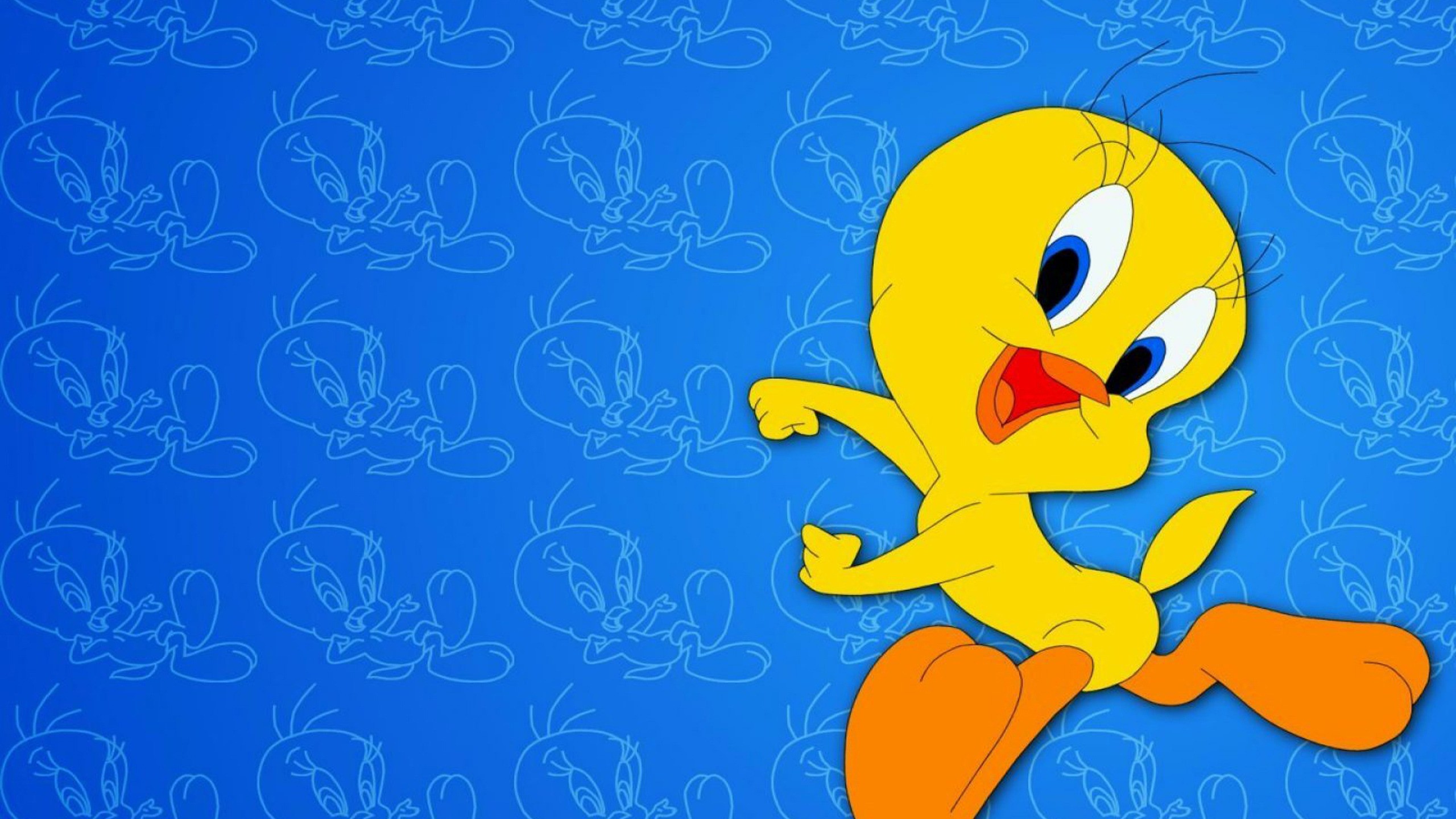 tweety, Looney, Tunes Wallpapers HD / Desktop and Mobile Backgrounds