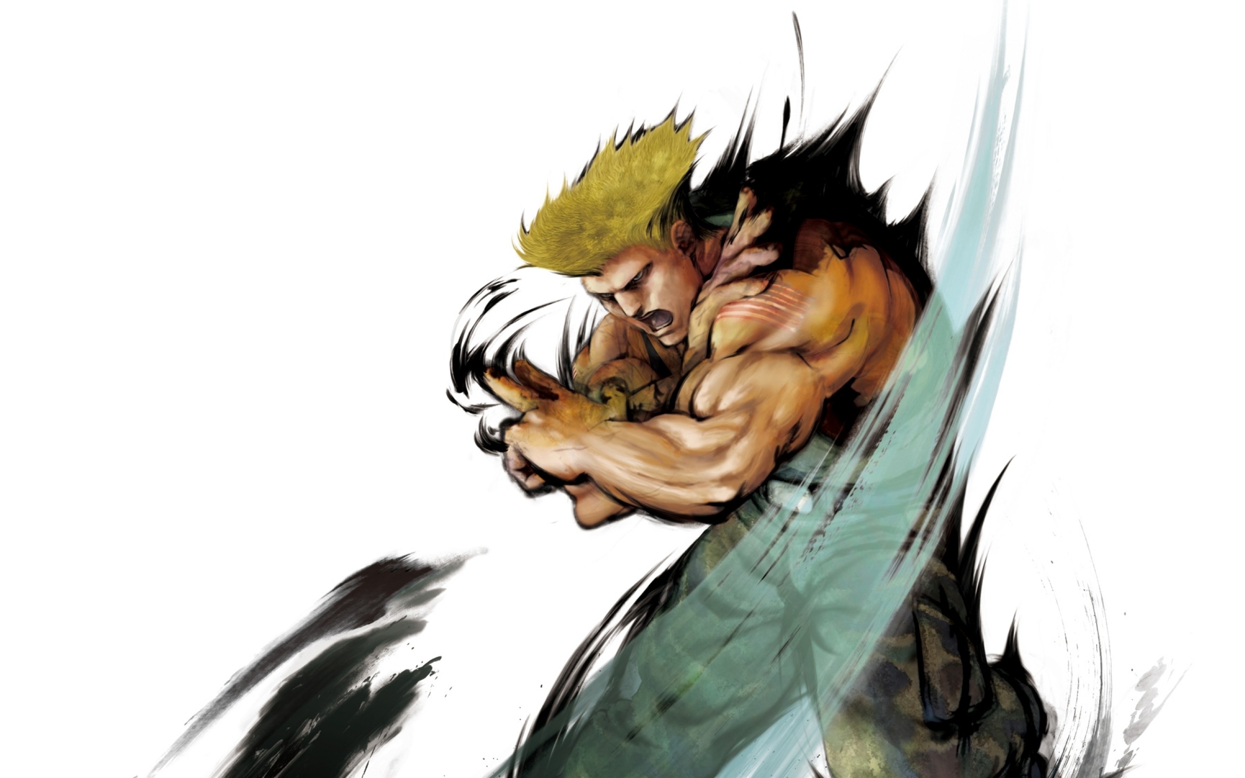 street, Fighter, Animation, Guile, Game Wallpapers HD / Desktop and ...