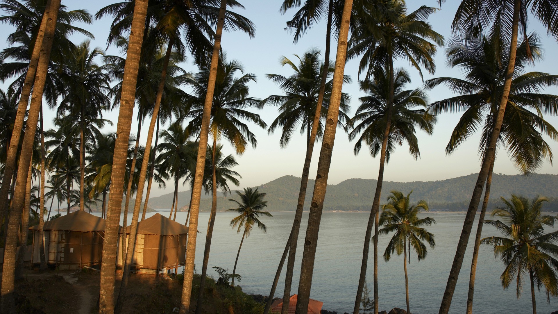 india, Beaches Wallpapers HD / Desktop and Mobile Backgrounds
