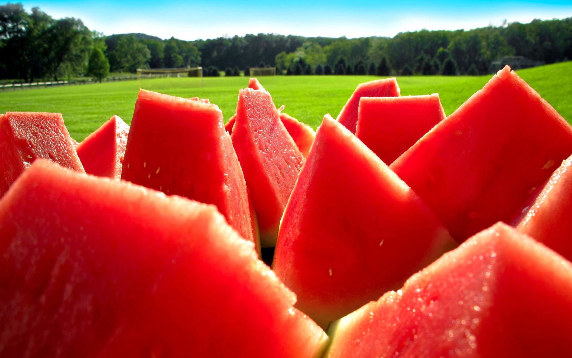 food, Watermelons Wallpapers HD / Desktop and Mobile Backgrounds