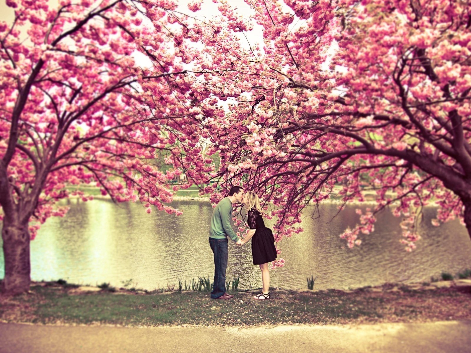 Love Kissing Couple Love Quotes Wallpapers HD Desktop And Mobile Love Kissing Couple Love Quotes Wallpapers HD Desktop And Mobile