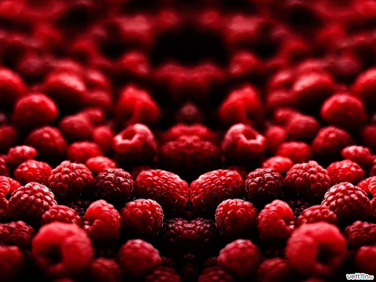 red, Fruits, Raspberries Wallpapers HD / Desktop and Mobile Backgrounds