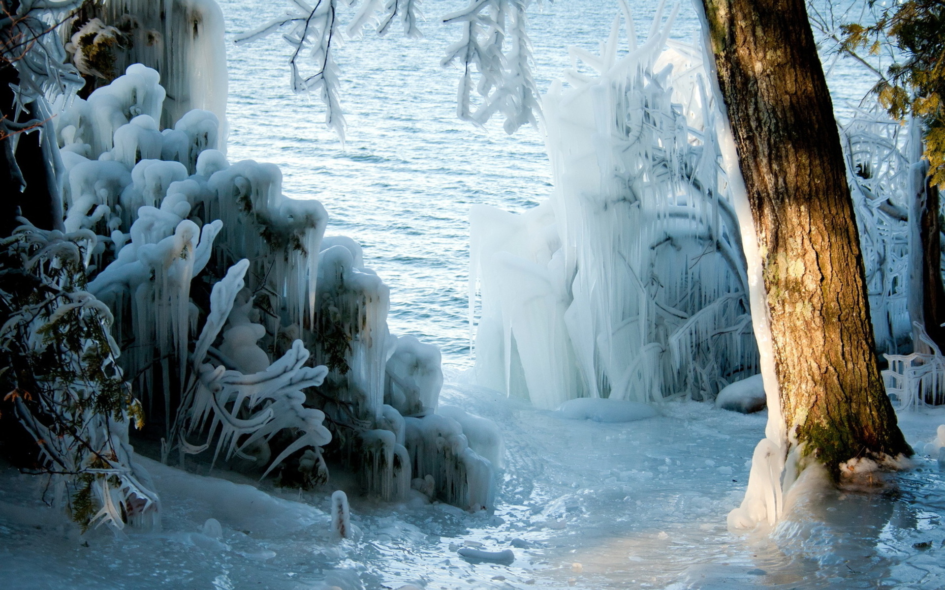 nature, Landscapes, Lakes, Trees, Forest, Wood, Ice, Storm, Winter ...