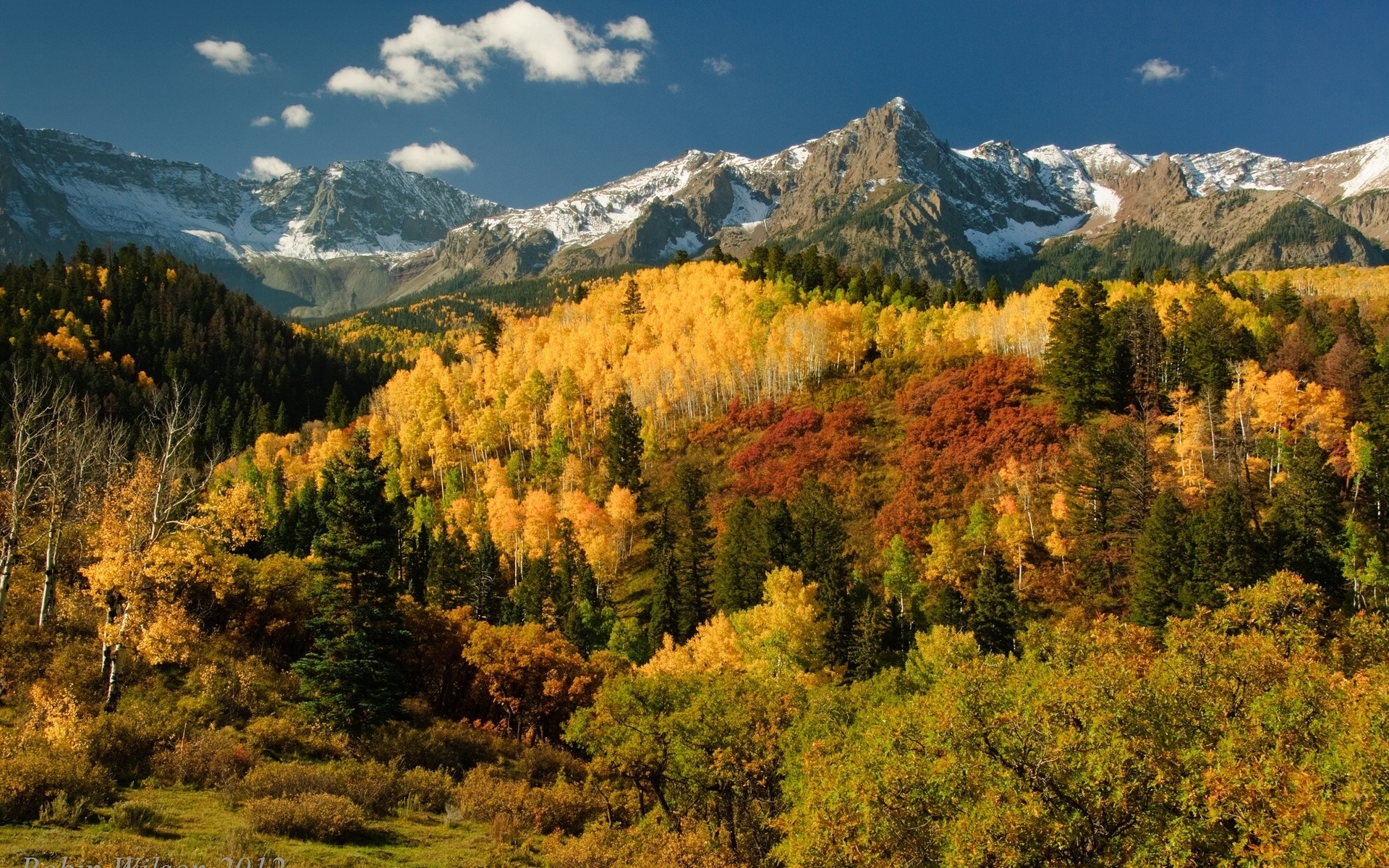 landscpapes, Mountains, Trees, Forest, Autumn, Fall, Sky Wallpapers HD ...