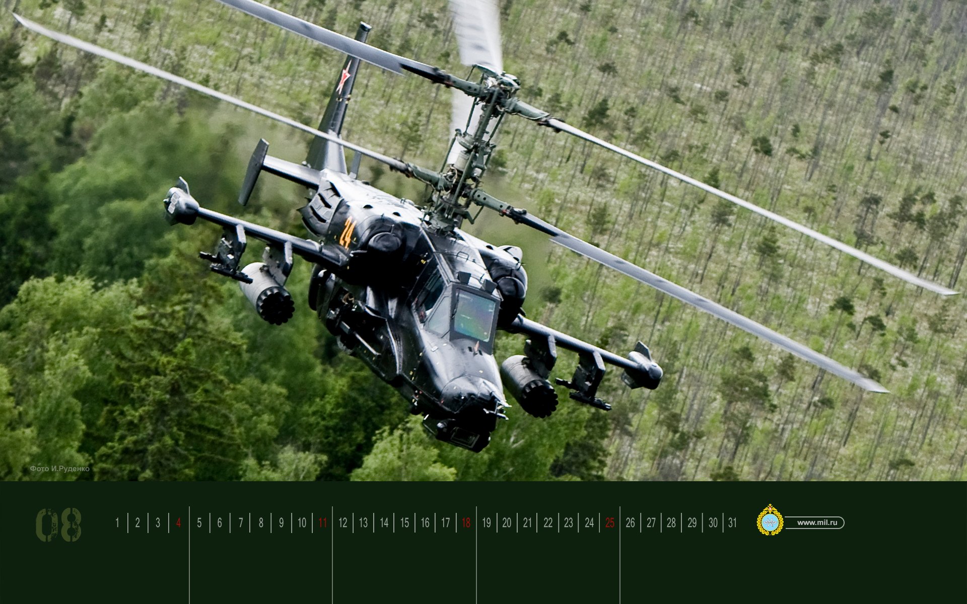 kamov, Ka 50, Black, Shark, Gunship, Attack, Helicopter, Military ...