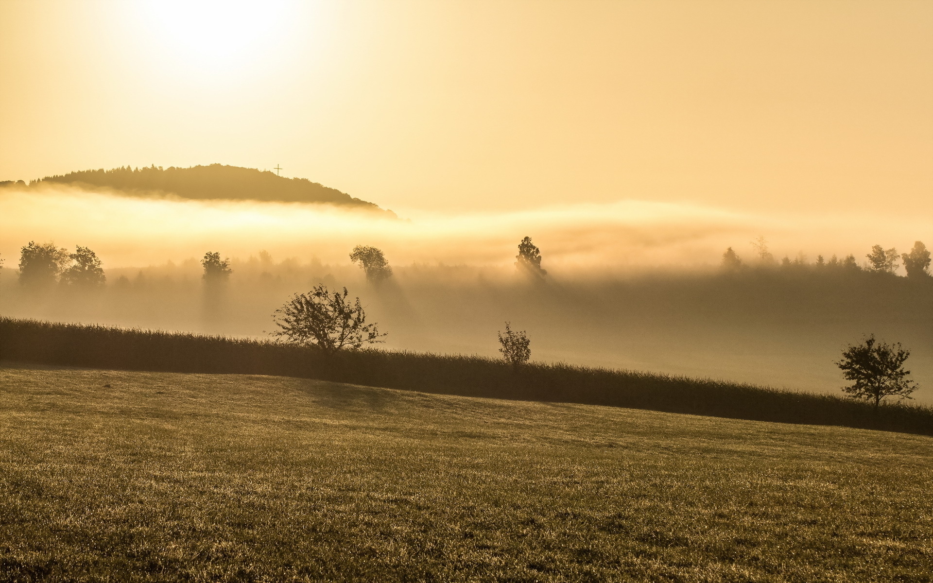 cross, Nature, Landscapes, Dawn, Morning, Sunrise, Trees, Sky, Fog ...