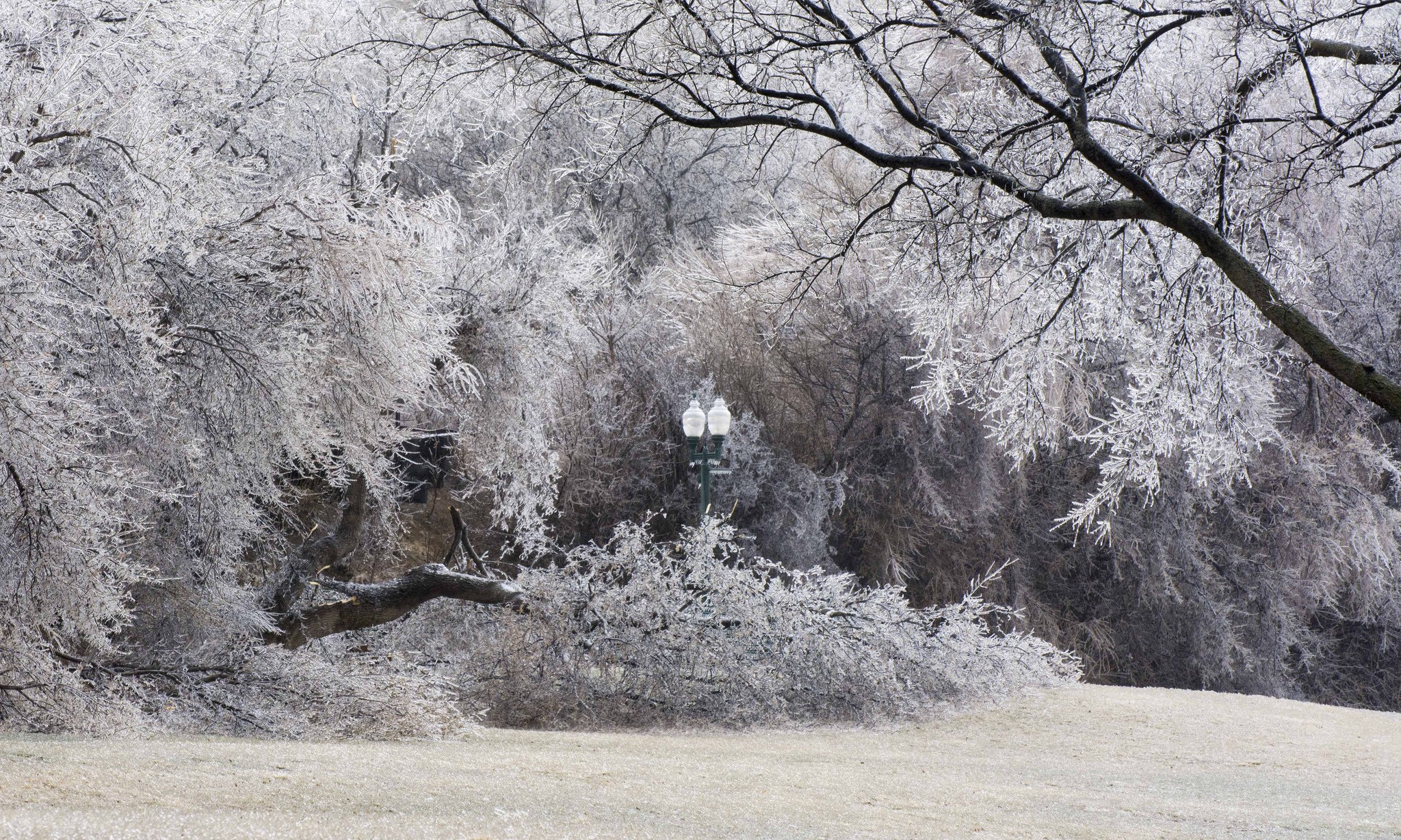 hiver, Neige, Montagne, Snow, Nature, Landscapes, Frozen, Winter ...