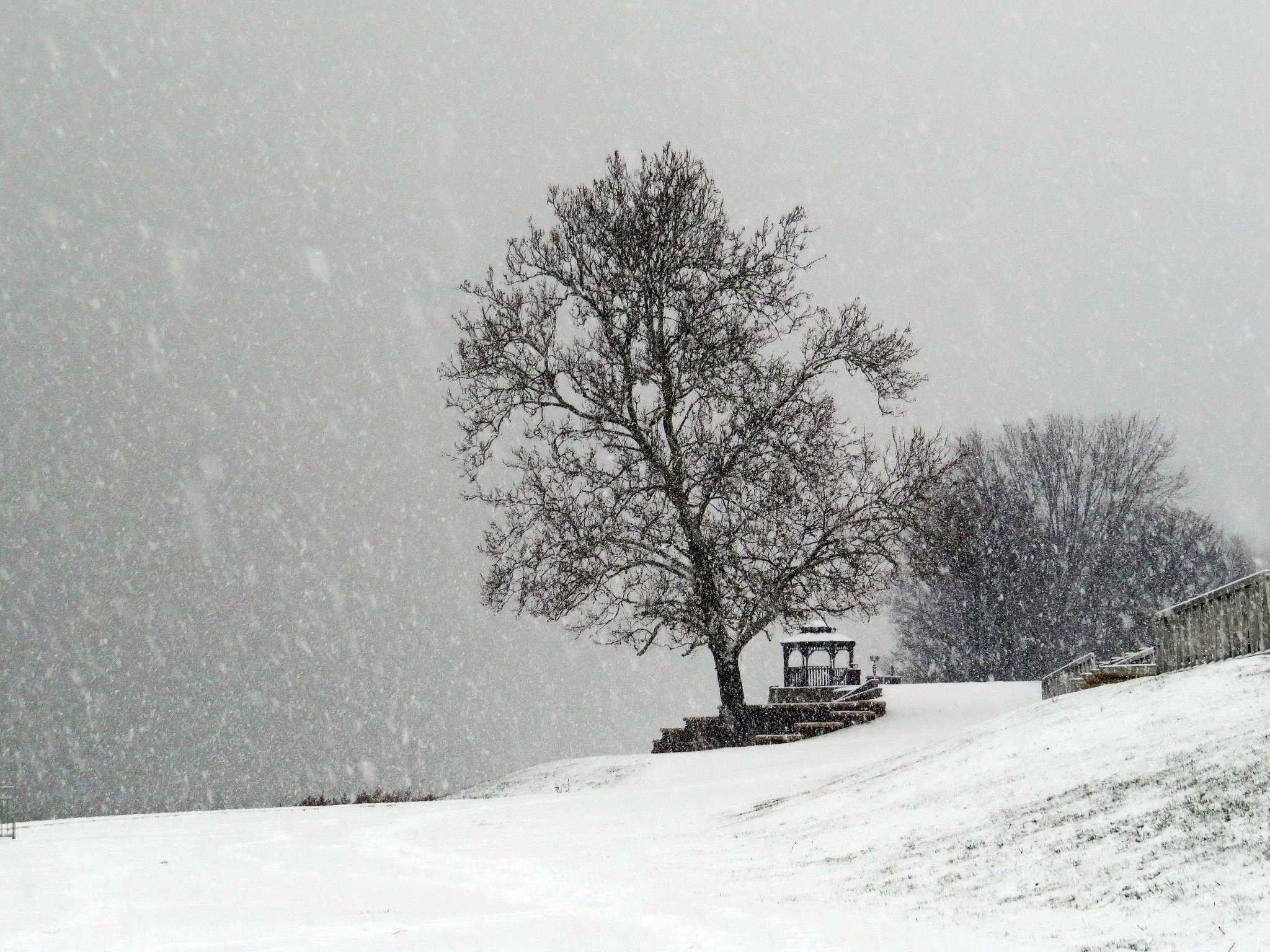 hiver, Neige, Montagne, Snow, Nature, Landscapes, Frozen, Winter ...